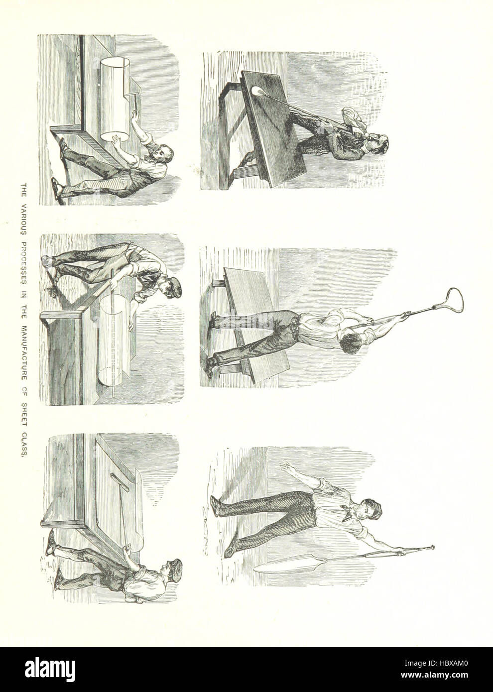 Wonderland, or, Curiosities of Nature and Art Image taken from page 195 ...