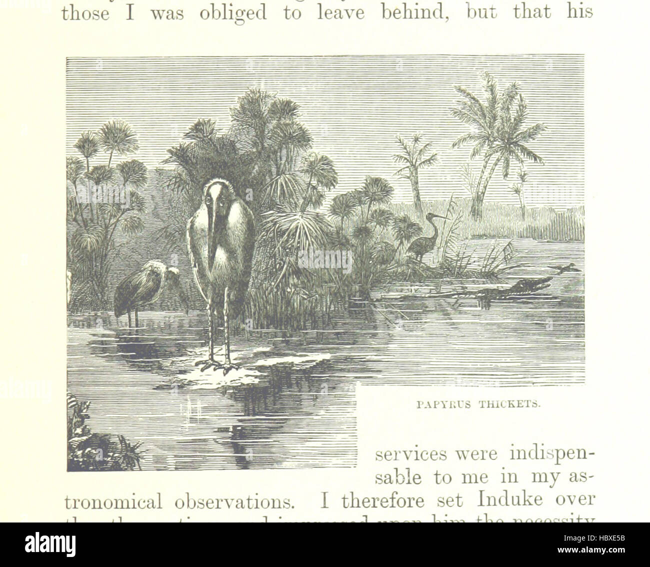 Great Explorers of Africa. With illustrations and map Image taken from ...
