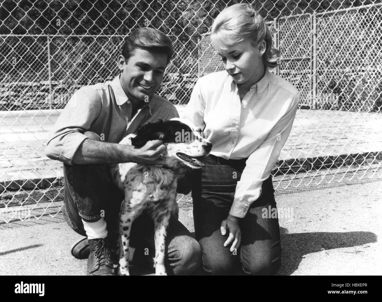 GIT!, Jack Chaplain, Heather North, 1965 Stock Photo - Alamy