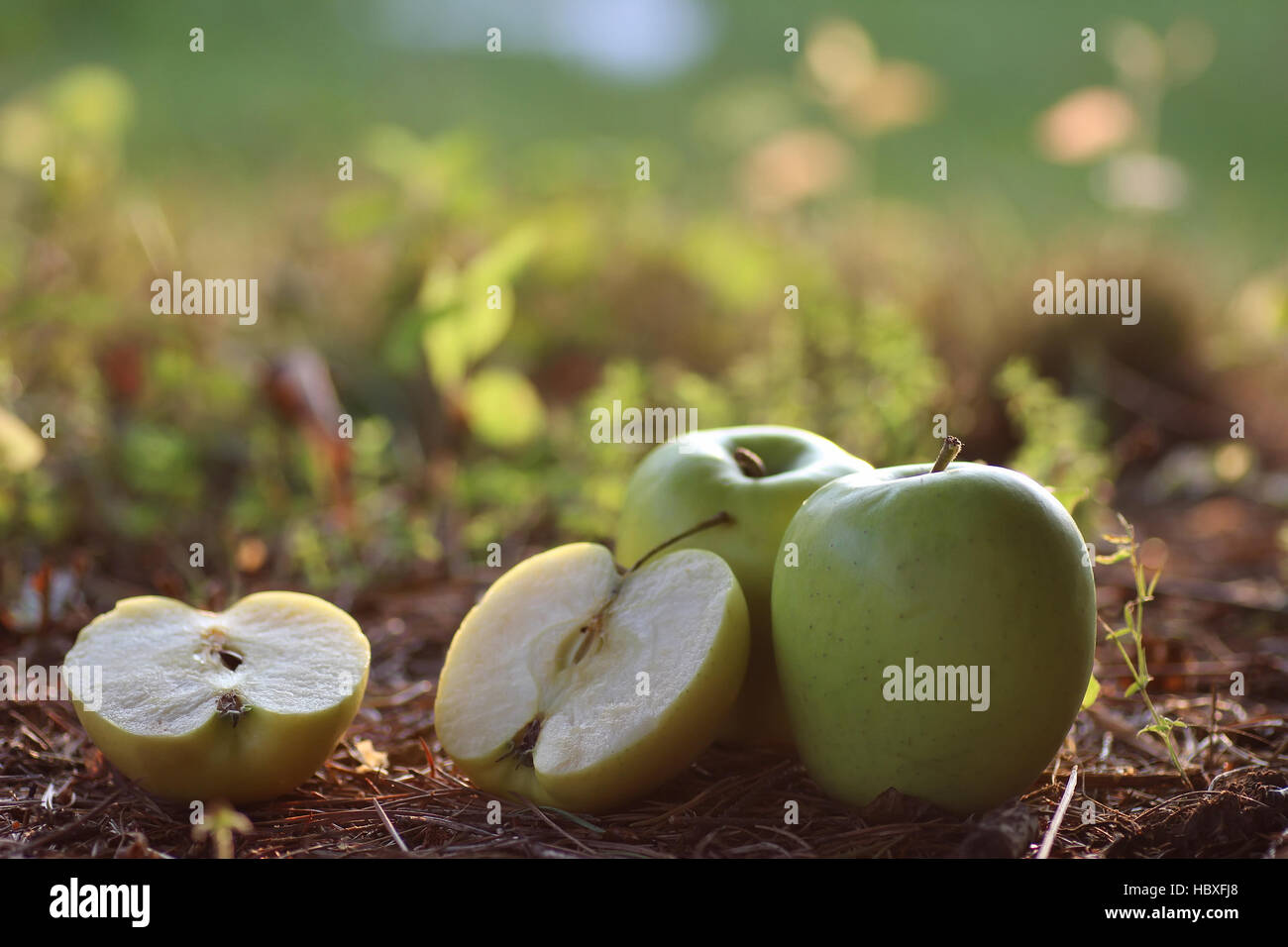 apple on the ground outdoor Stock Photo - Alamy