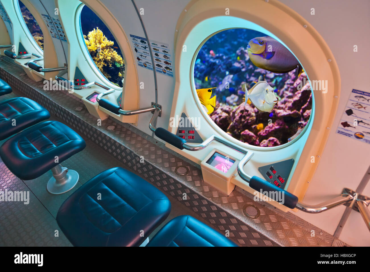 Fishes in submarine window Stock Photo - Alamy