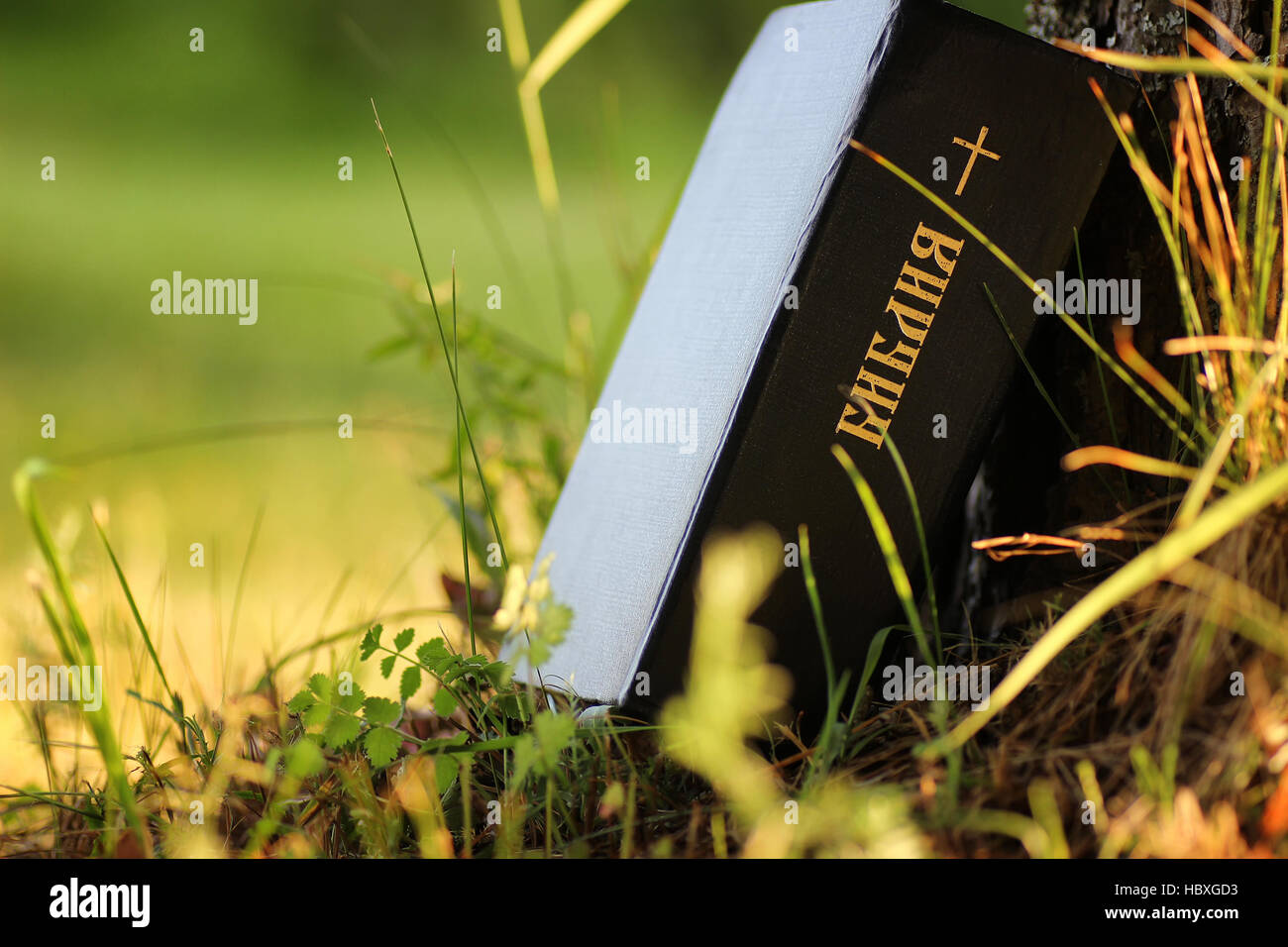 inscription on the book of the Bible Bible with cross in natur Stock ...