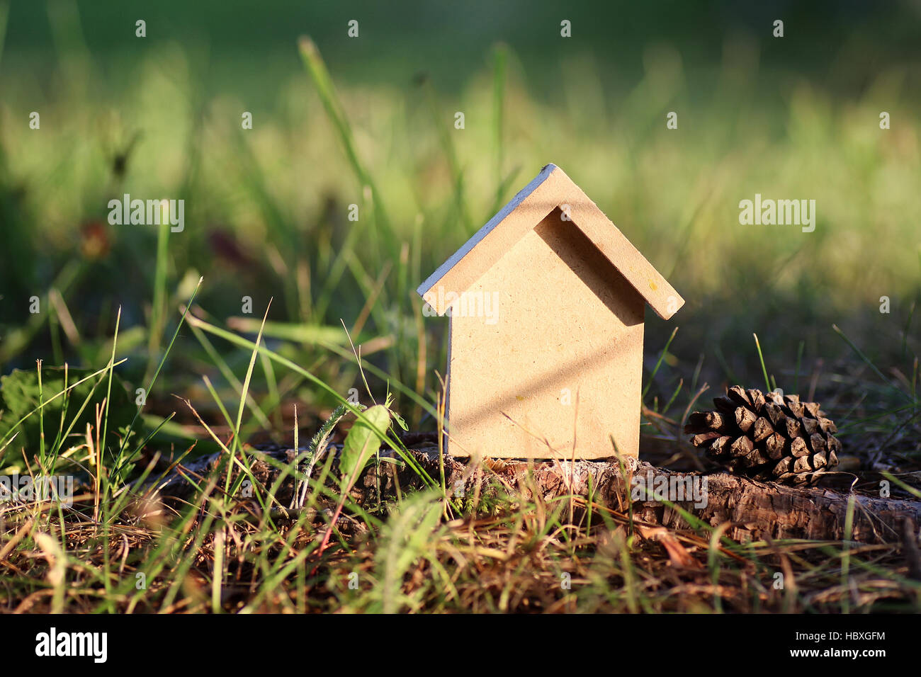 figure house in nature Stock Photo - Alamy