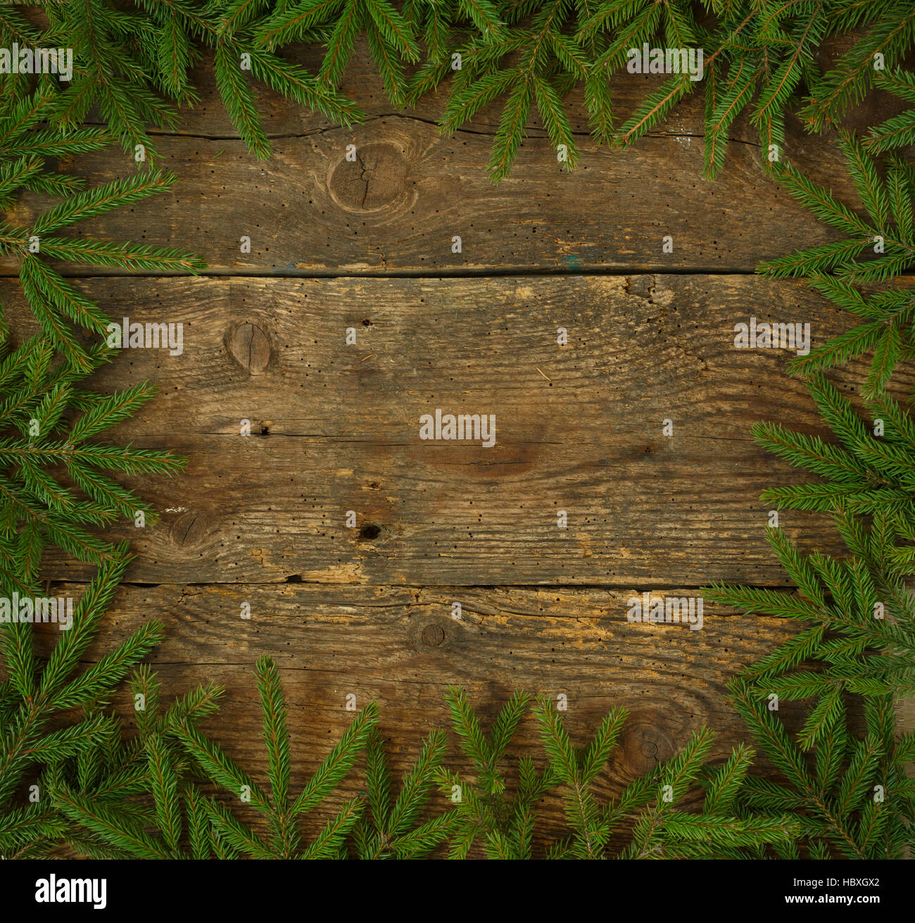 Christmas tree branches on wooden texture ready for your design. Winter ...