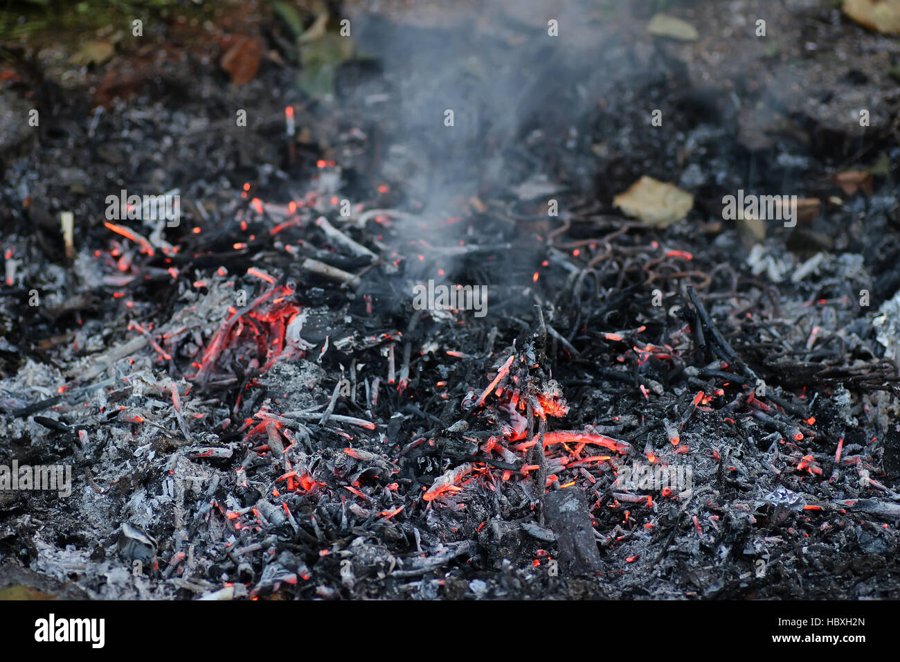 coal and ash in the fire Stock Photo - Alamy