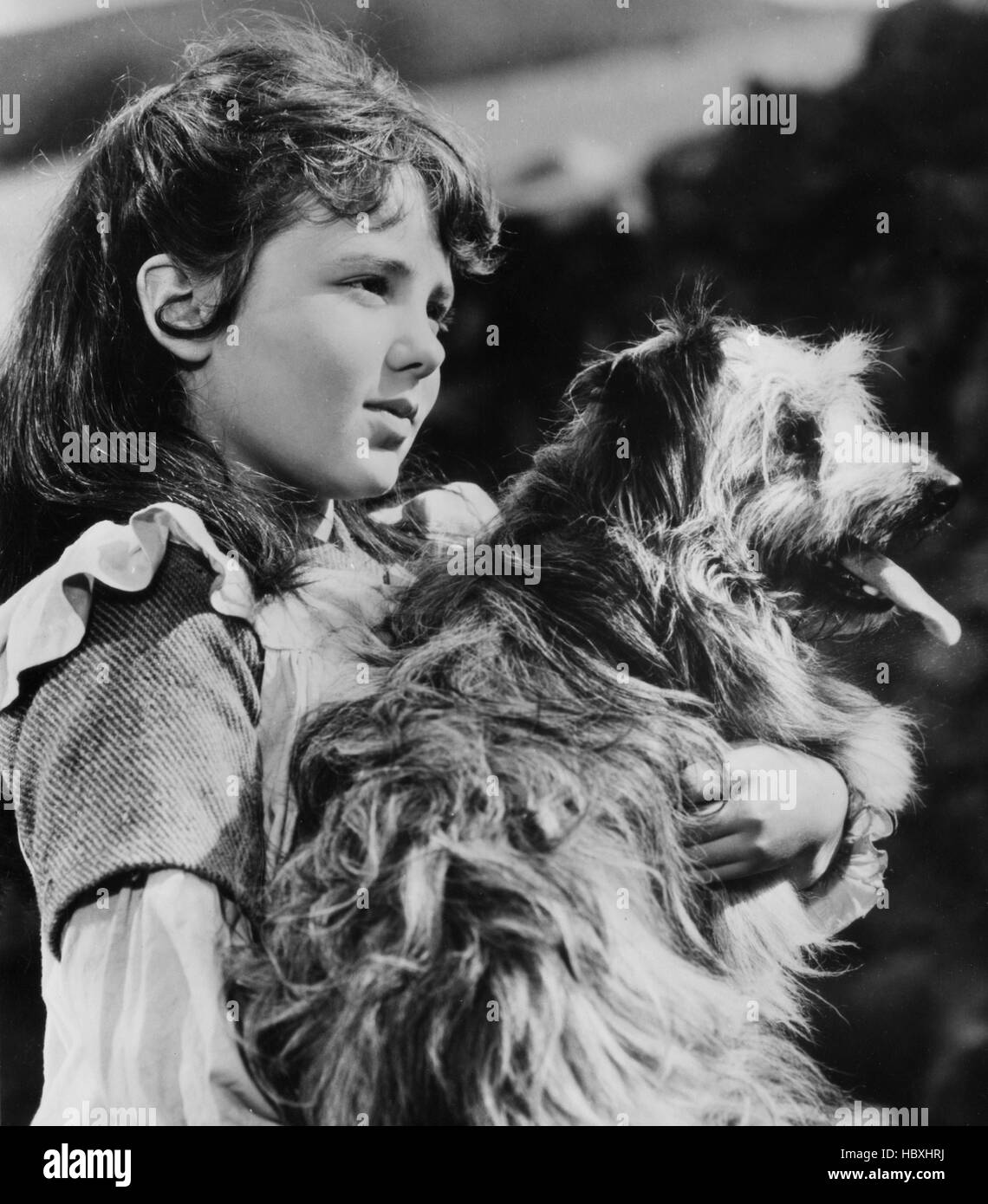GREYFRIARS BOBBY, Jennifer Nevinson, 1961 Stock Photo - Alamy