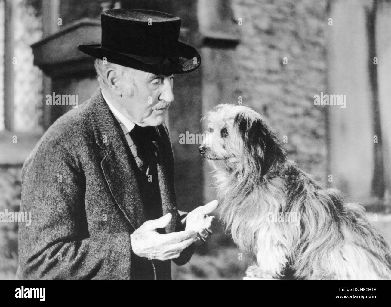 GREYFRIARS BOBBY, Donald Crisp, 1961 Stock Photo - Alamy