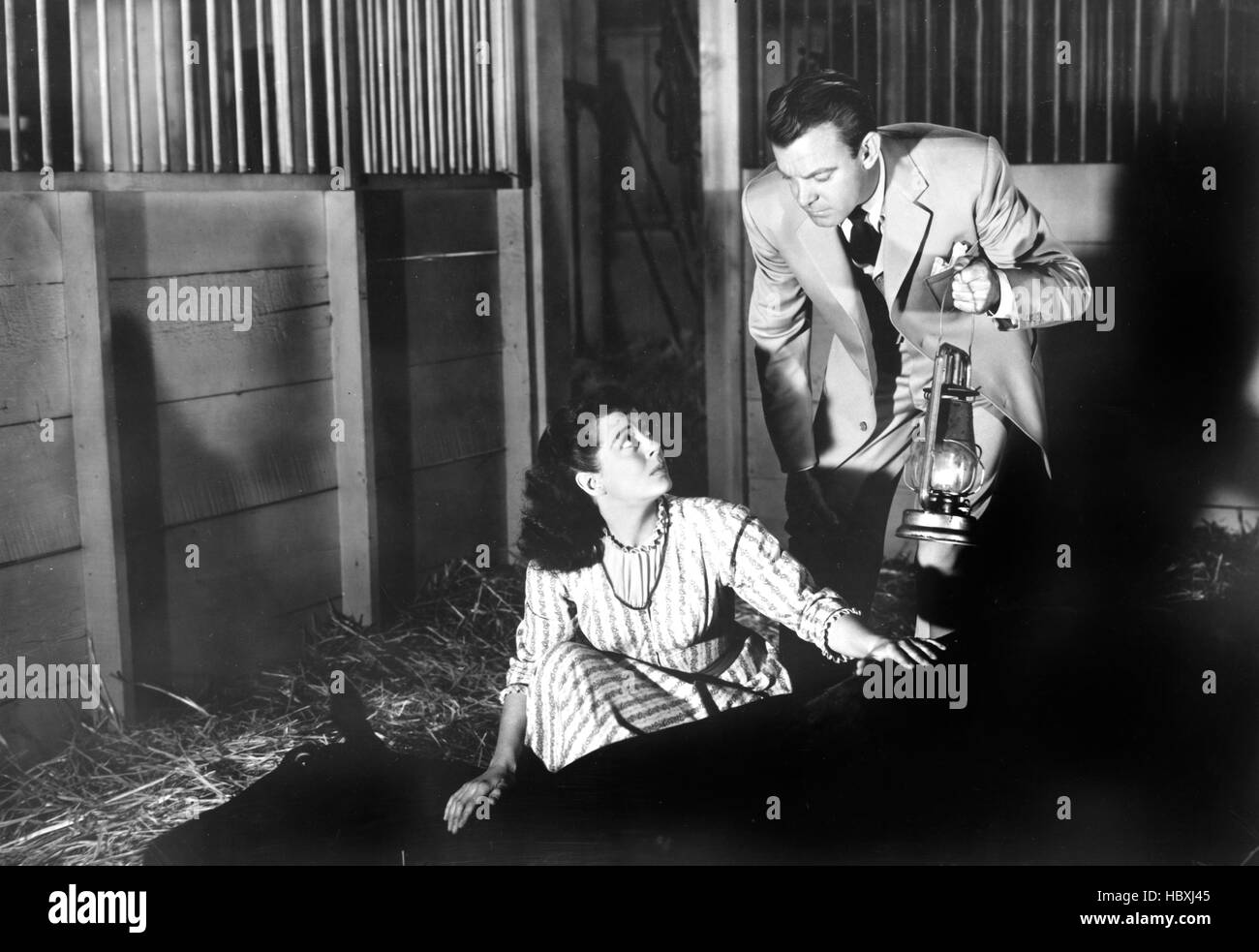 THE GREAT DAN PATCH, Gail Russell, Dennis O'Keefe, 1949 Stock Photo - Alamy