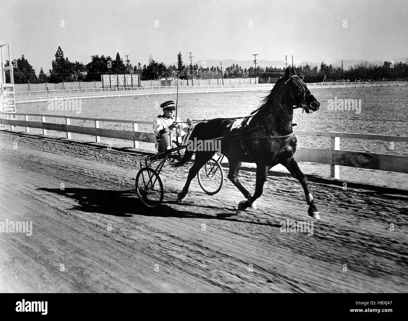 THE GREAT DAN PATCH, 1949 Stock Photo - Alamy