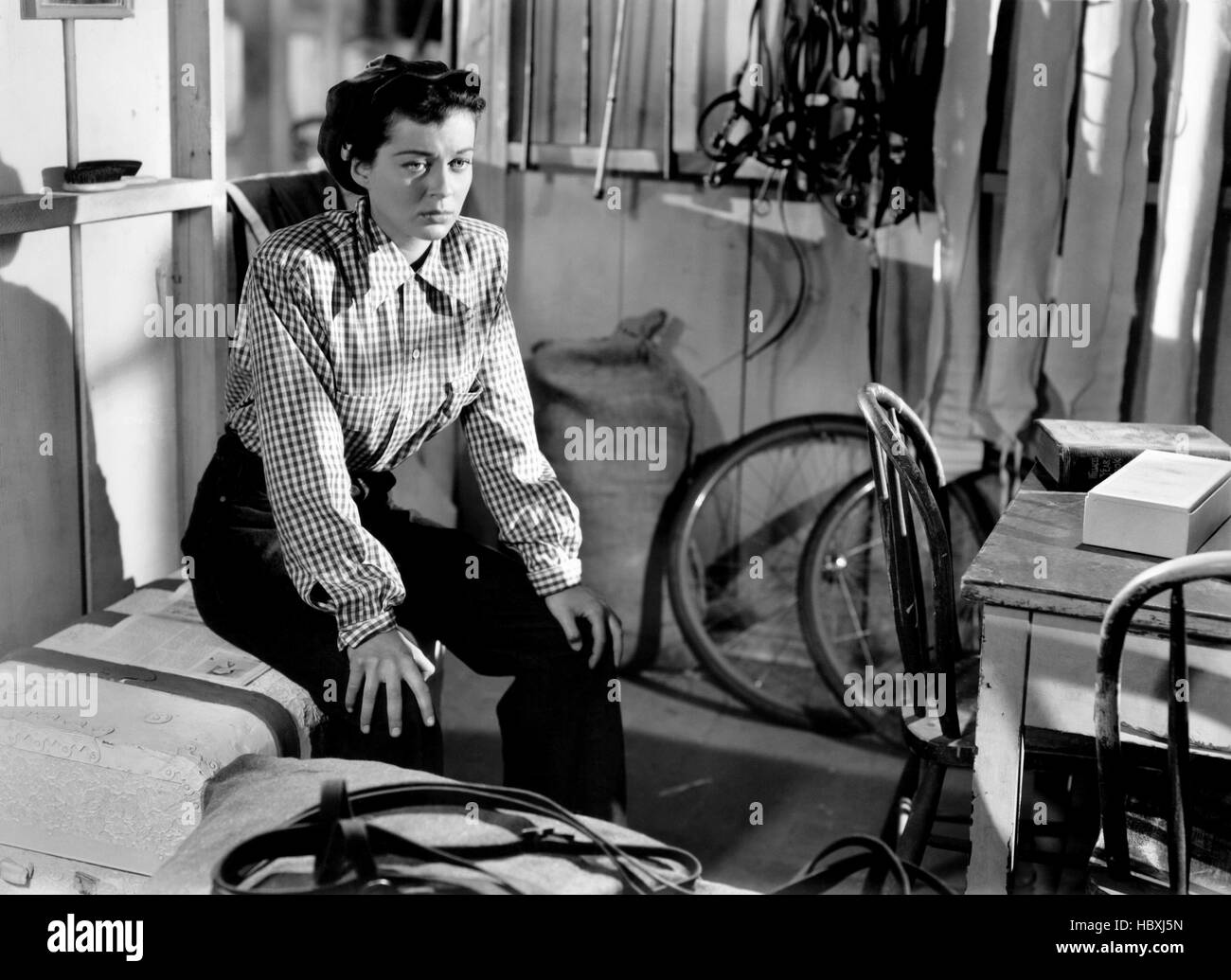 THE GREAT DAN PATCH, Gail Russell, 1949 Stock Photo - Alamy