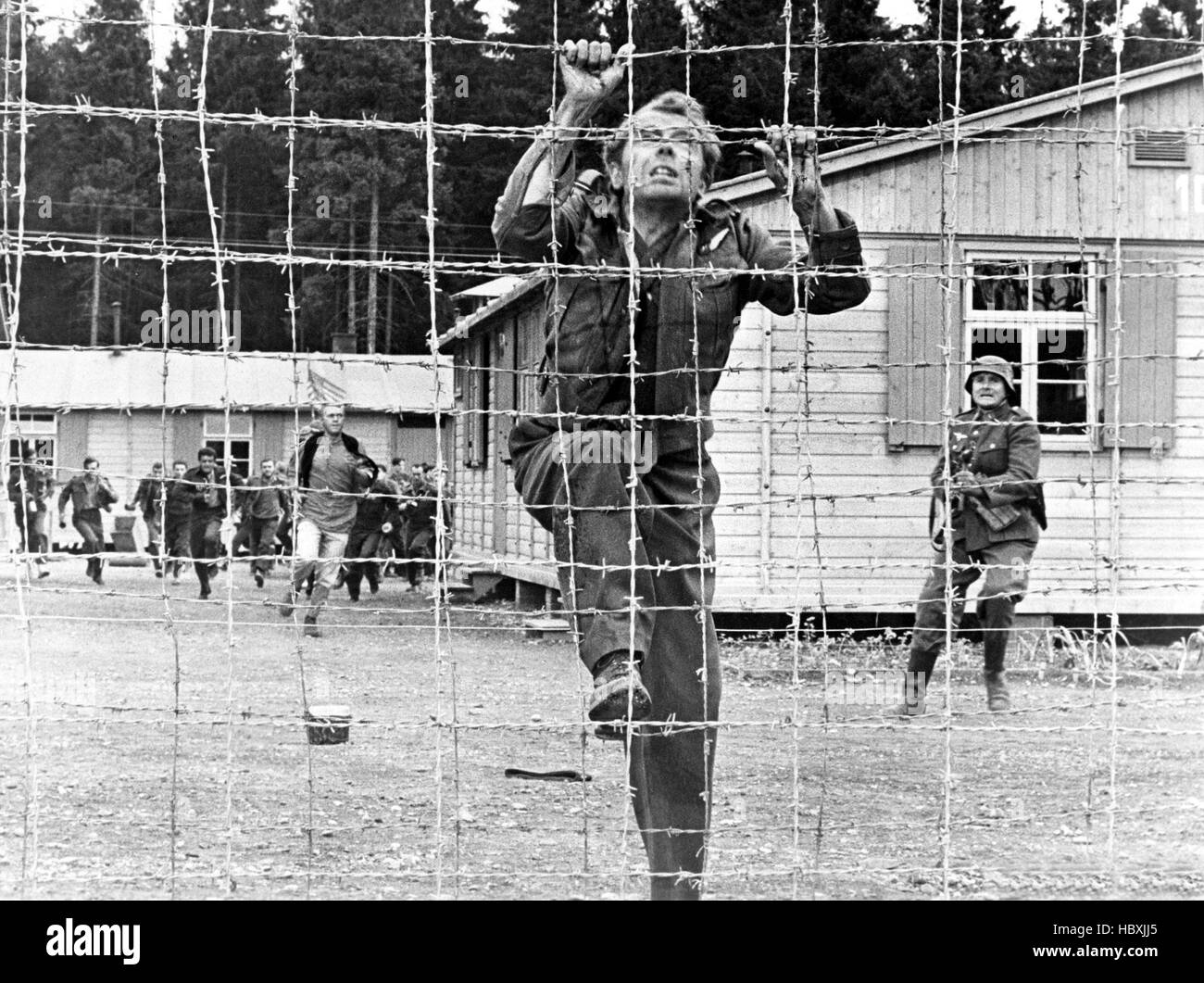 THE GREAT ESCAPE, Angus Lennie (on fence), Steve McQueen (running ...