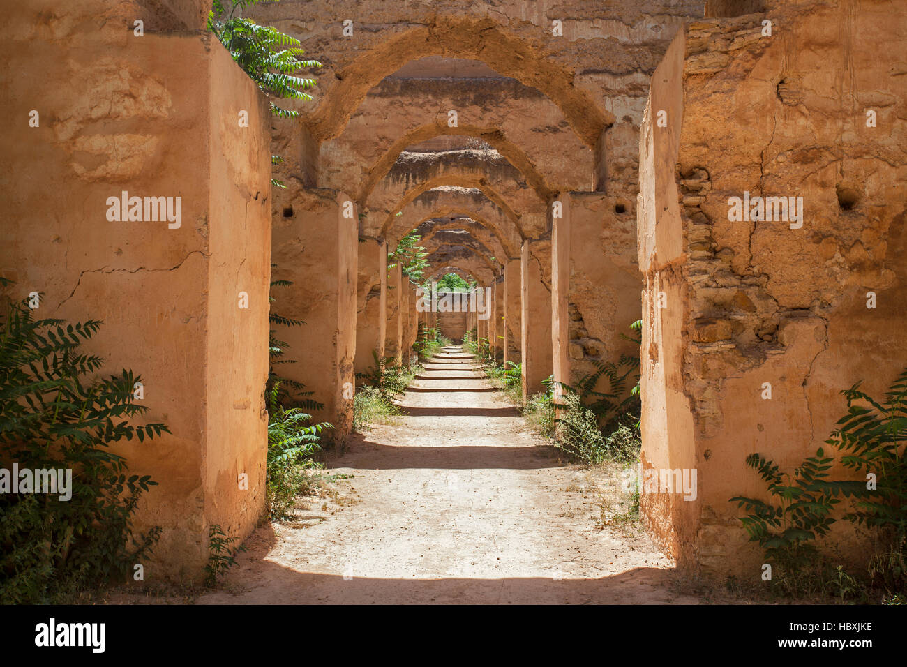 Inside the stables hi-res stock photography and images - Alamy