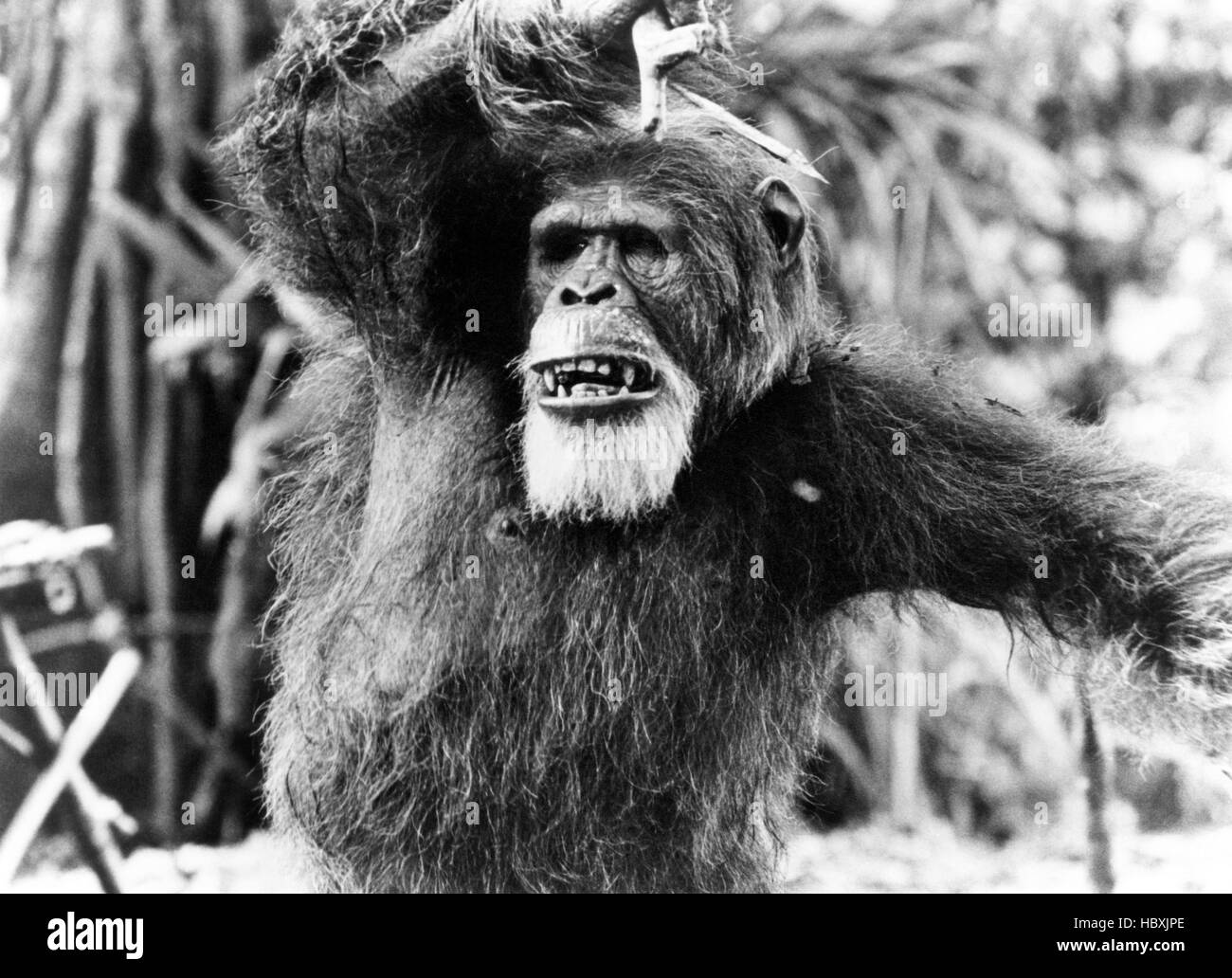 GREYSTOKE: THE LEGEND OF TARZAN, LORD OF THE APES, 1984. ©Warner ...