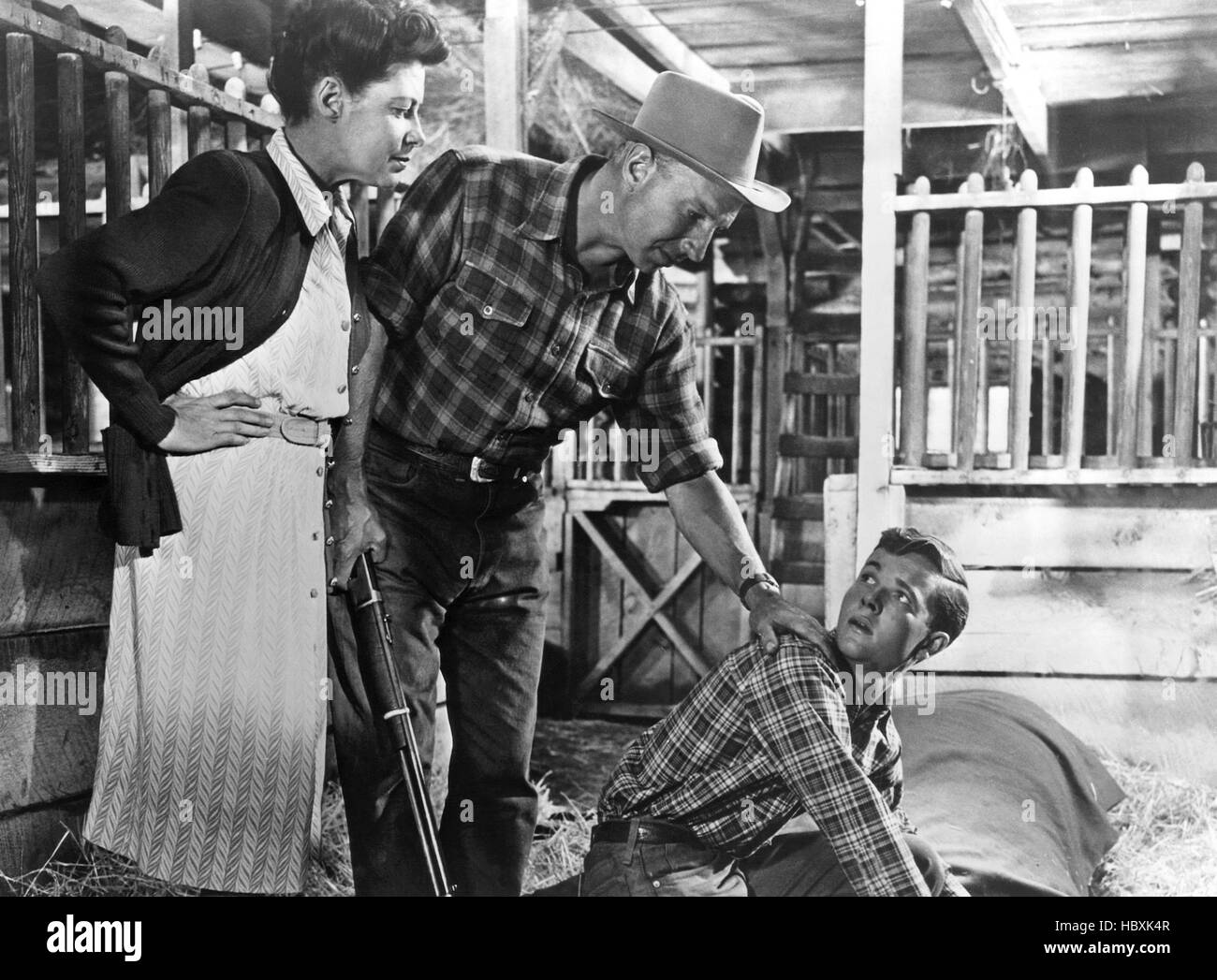 GREEN GRASS OF WYOMING, from left: Geraldine Wall, Lloyd Nolan, Robert ...