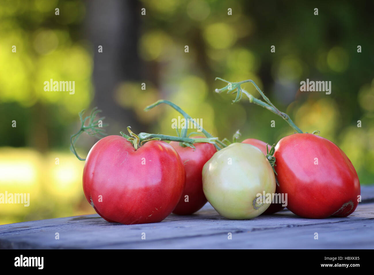 tomato branch on table outdoor Stock Photo - Alamy