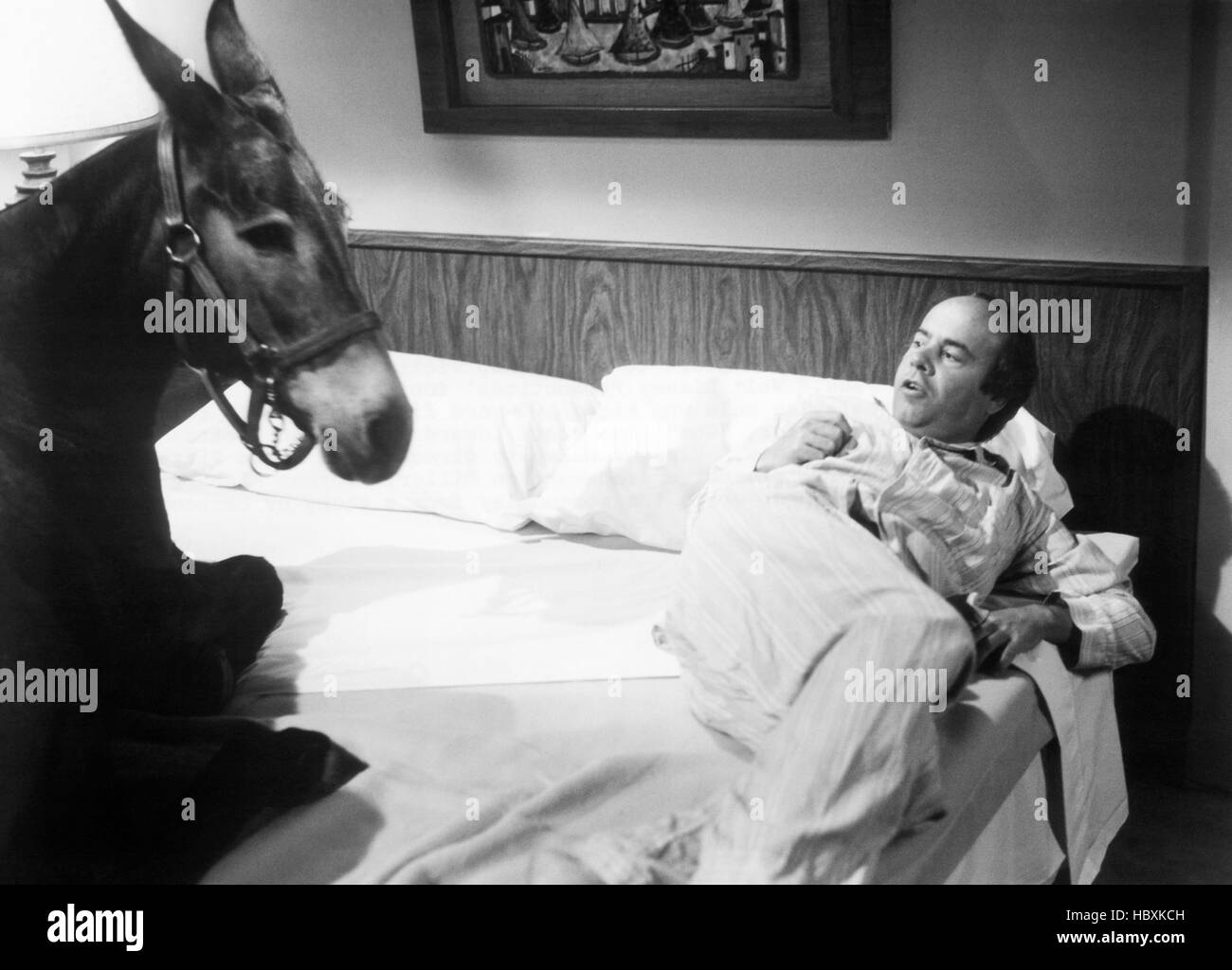GUS, Tim Conway, 1976 Stock Photo - Alamy