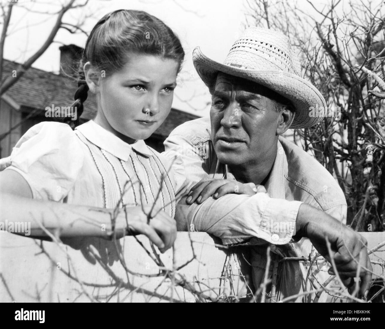 GYPSY COLT, Donna Corcoran, Ward Bond, 1953 Stock Photo - Alamy