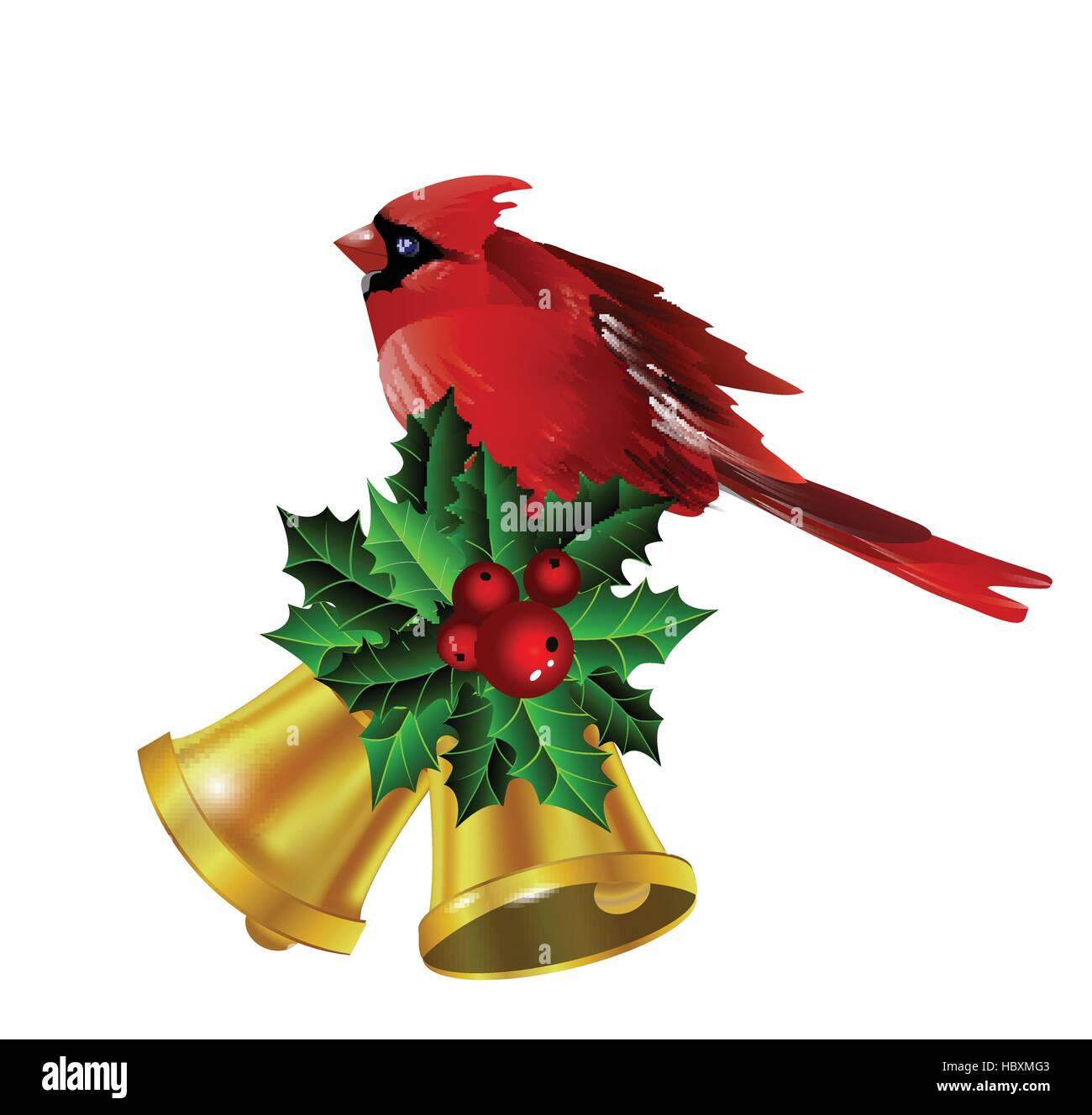 Single cardinal Stock Vector Images - Alamy