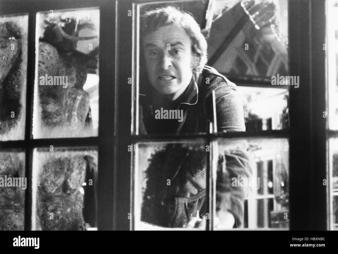 THE HAND, Michael Caine, 1981, © Warner Brothers/courtesy Everett ...