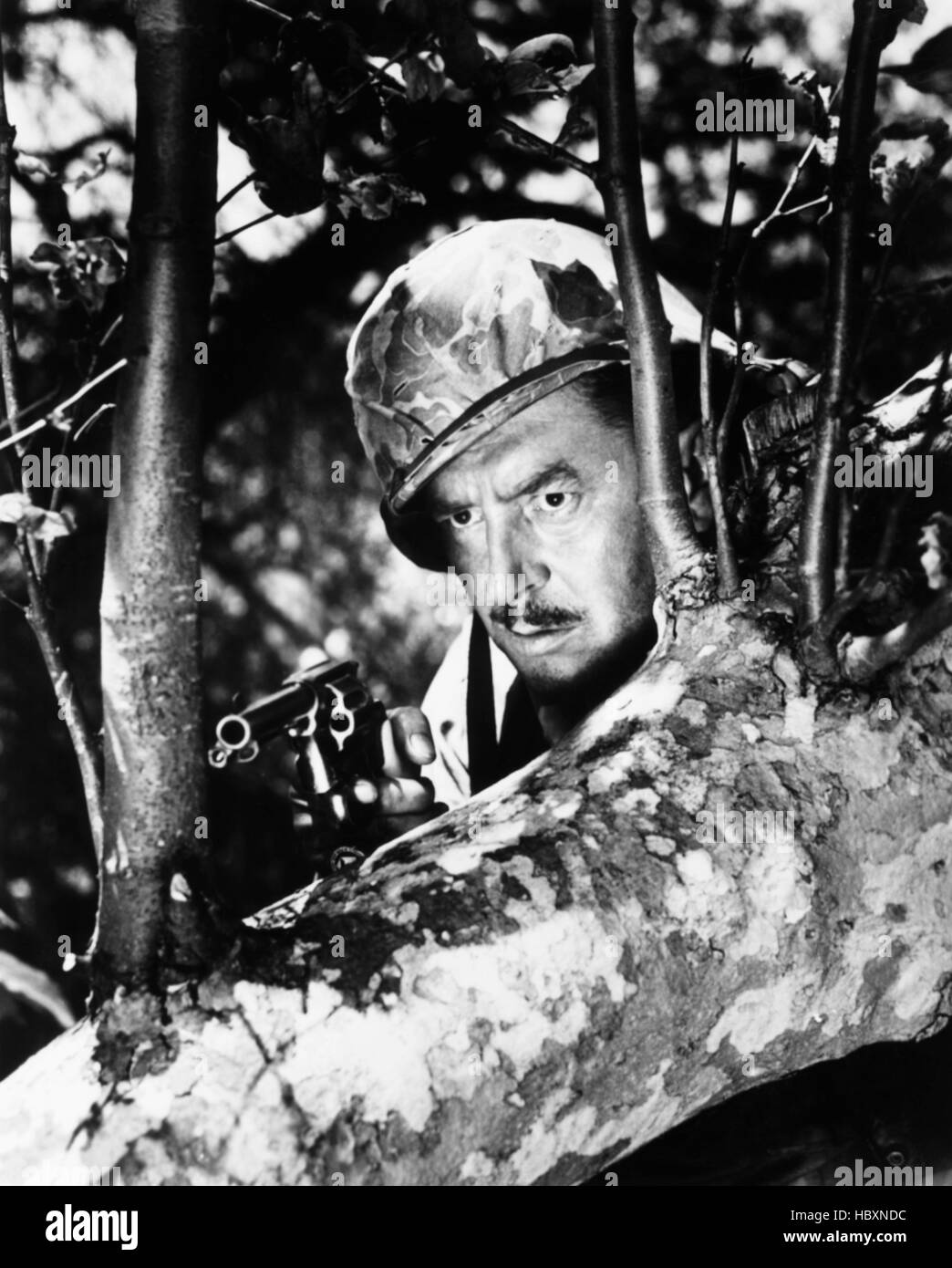 HALLS OF MONTEZUMA, Reginald Gardiner, 1950, TM & Copyright © 20th ...