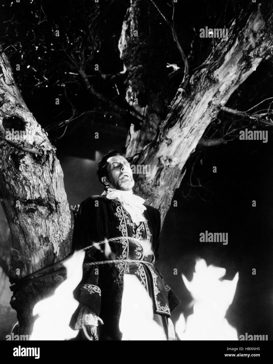 THE HAUNTED PALACE, Vincent Price, 1963 Stock Photo - Alamy