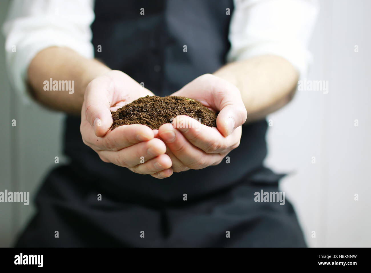 gardener hand sprout in palms Stock Photo - Alamy