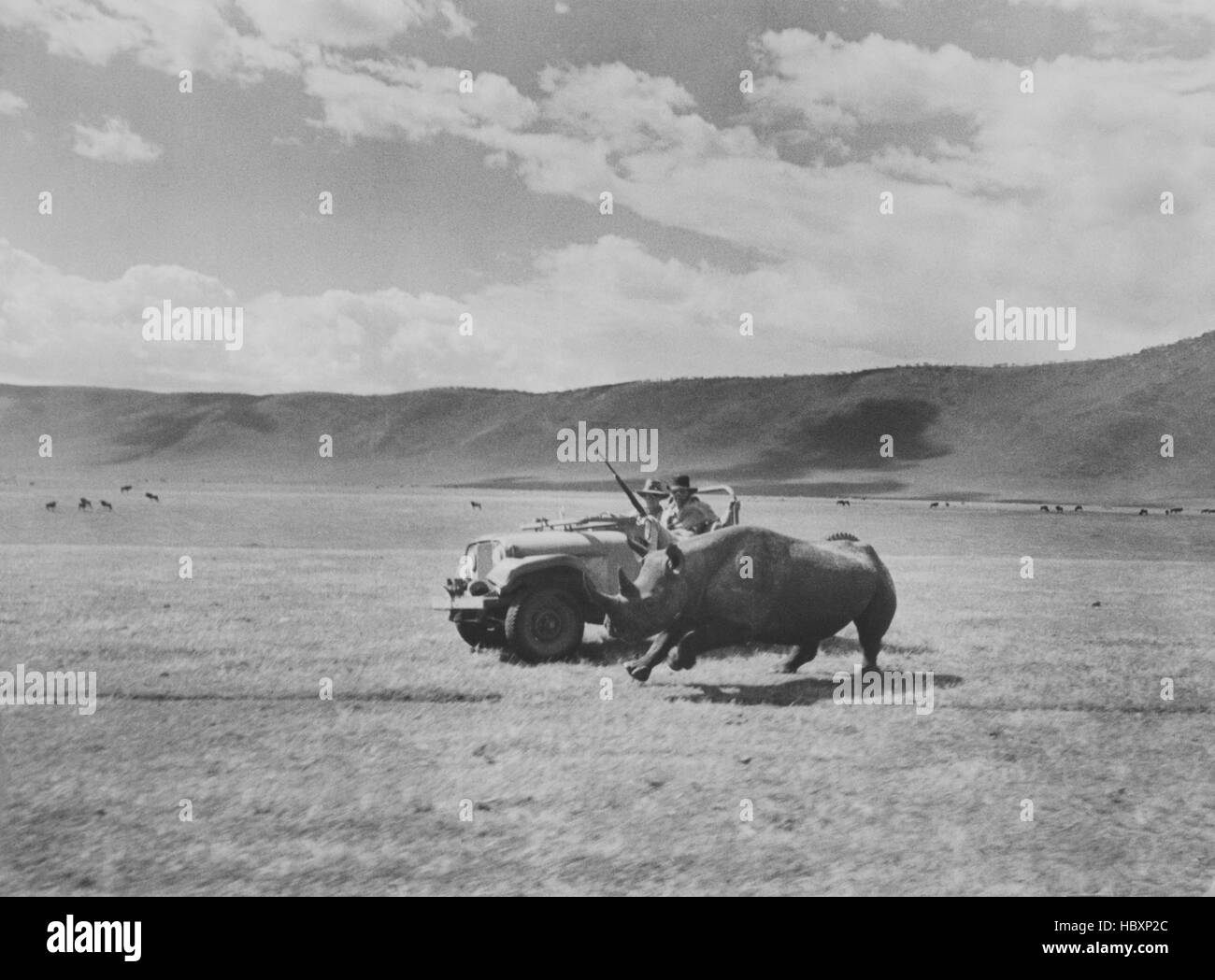 Hatari 1962 hi-res stock photography and images - Alamy