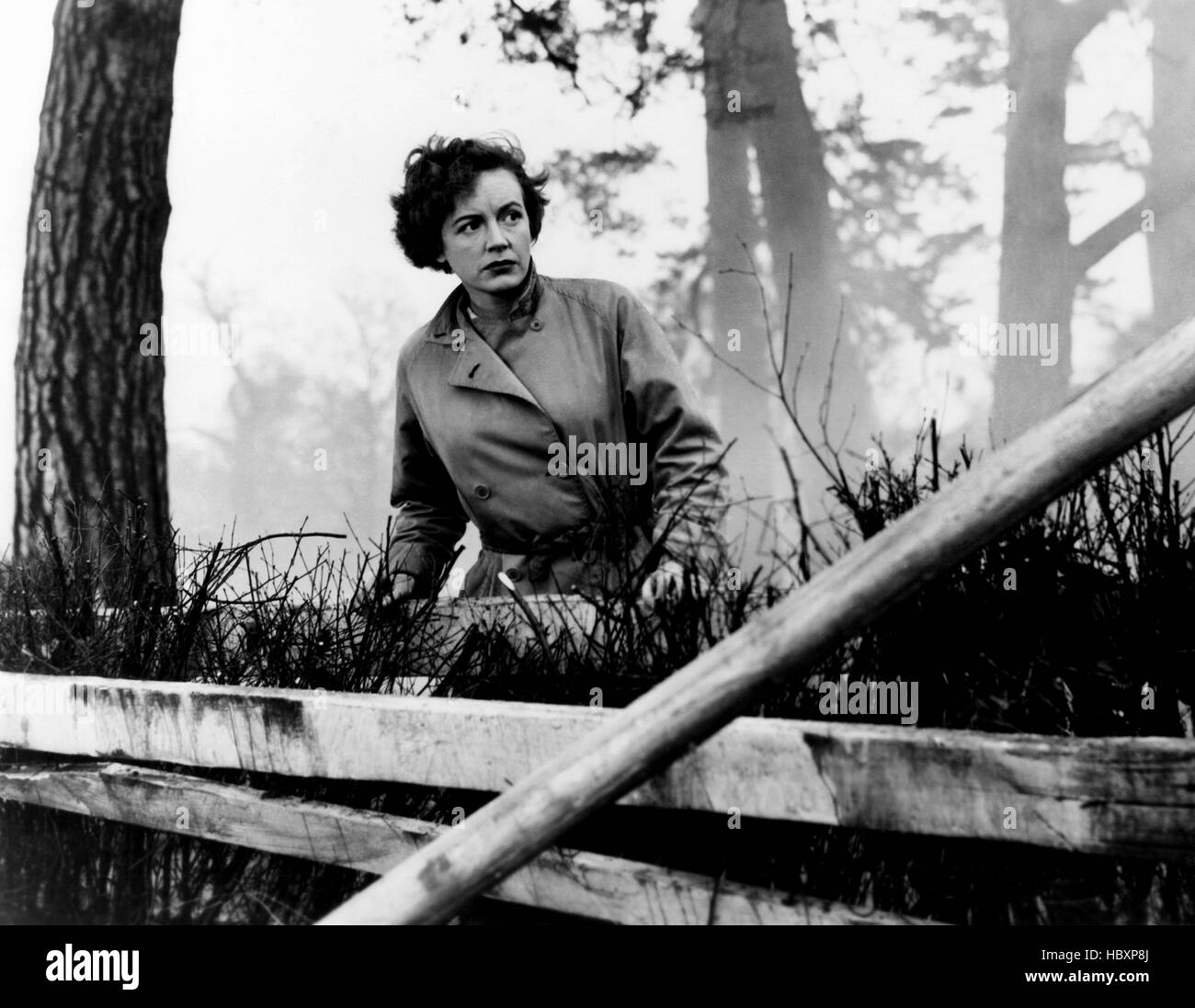 HER PANELLED DOOR, Phyllis Calvert, 1950 Stock Photo - Alamy