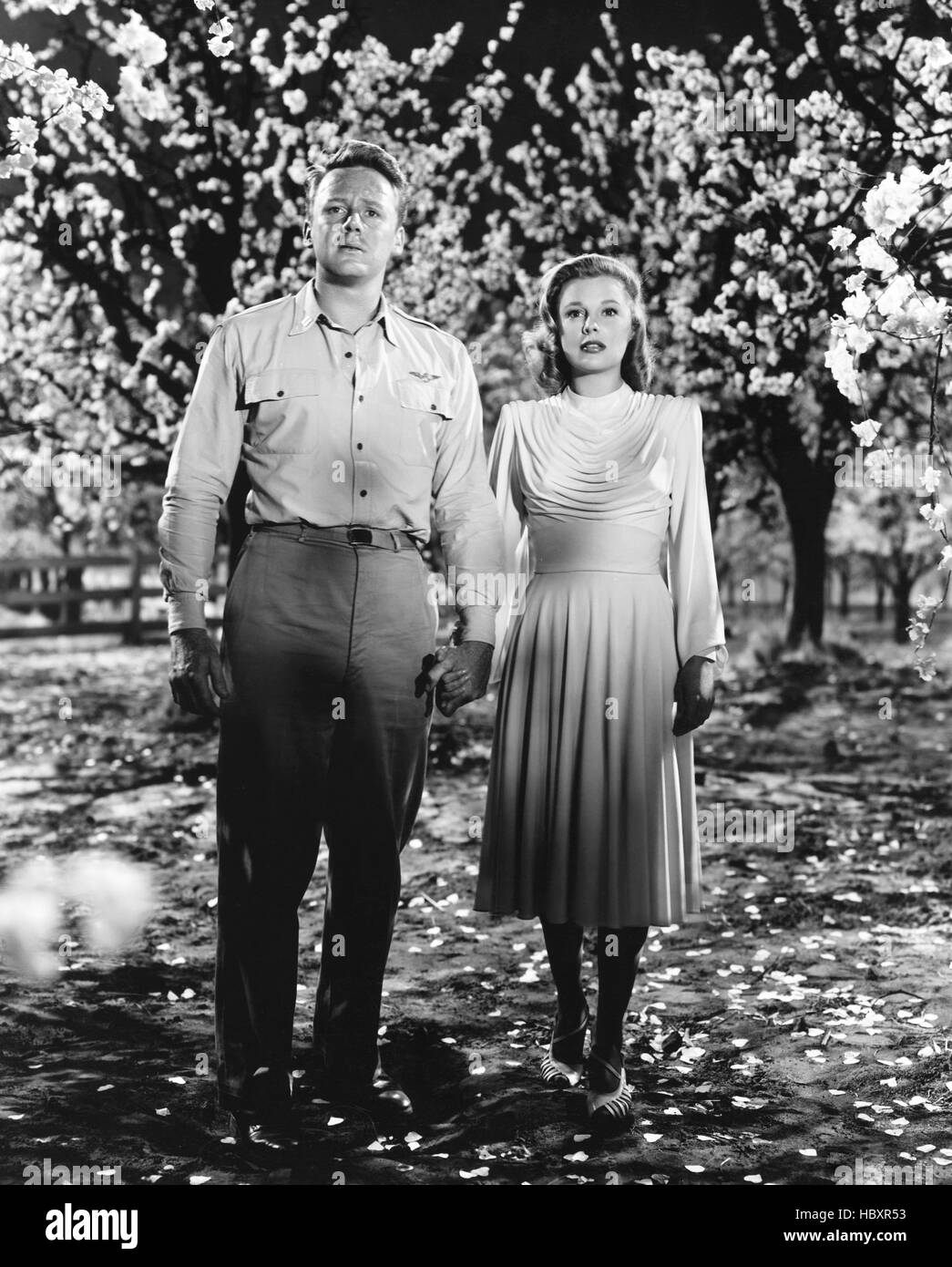 HIGH BARBAREE, from left: Van Johnson, June Allyson, 1947 Stock Photo ...