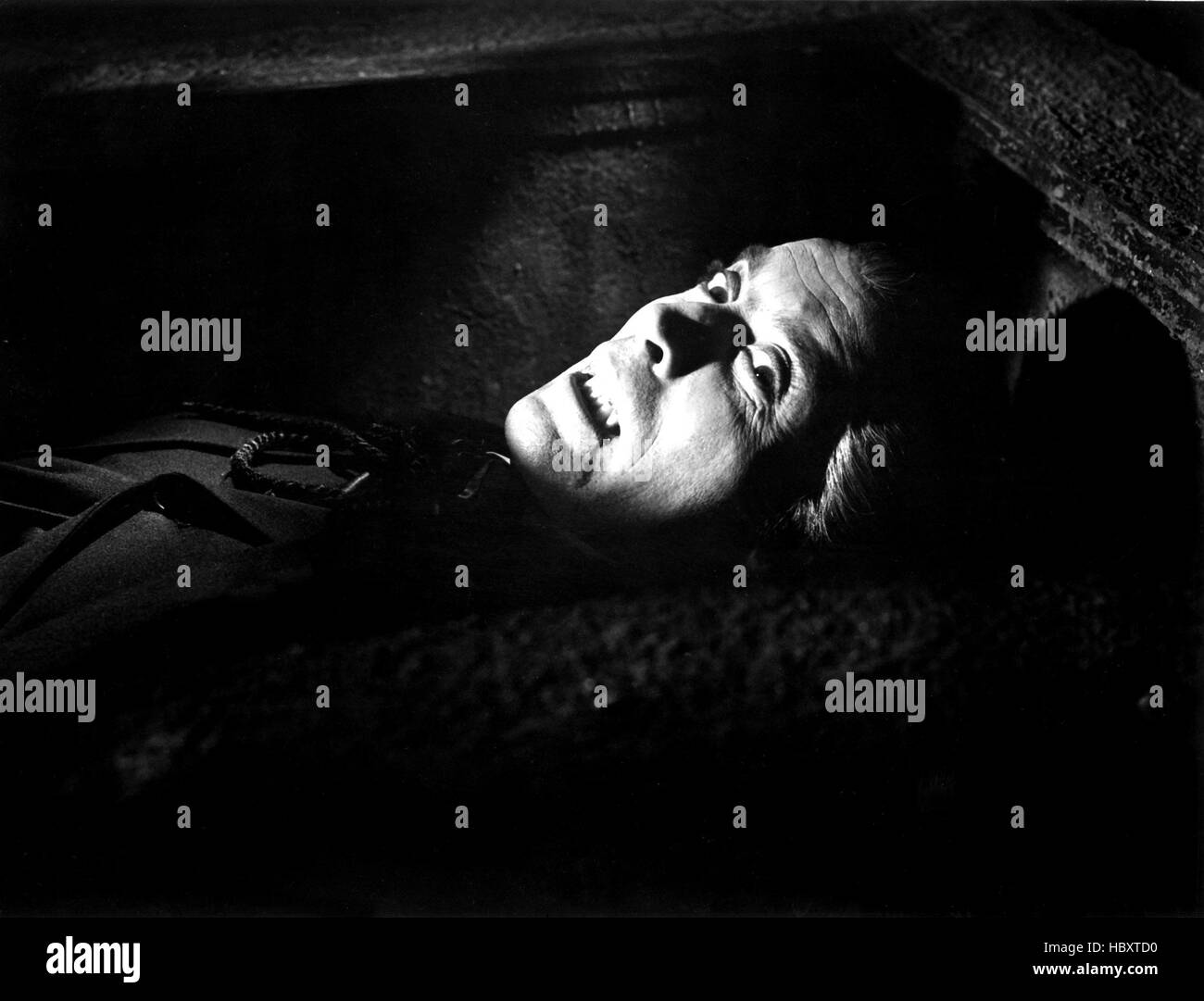 HORROR OF DRACULA, Christopher Lee, 1958 Stock Photo - Alamy