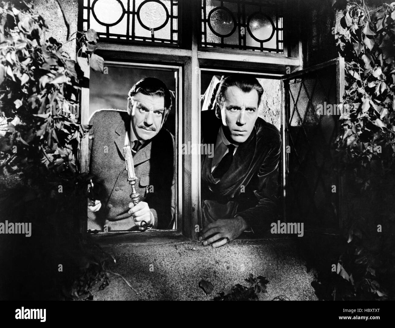 THE HOUND OF THE BASKERVILLES, from left: Andre Morell, Christopher Lee, 1959 Stock Photo - Alamy
