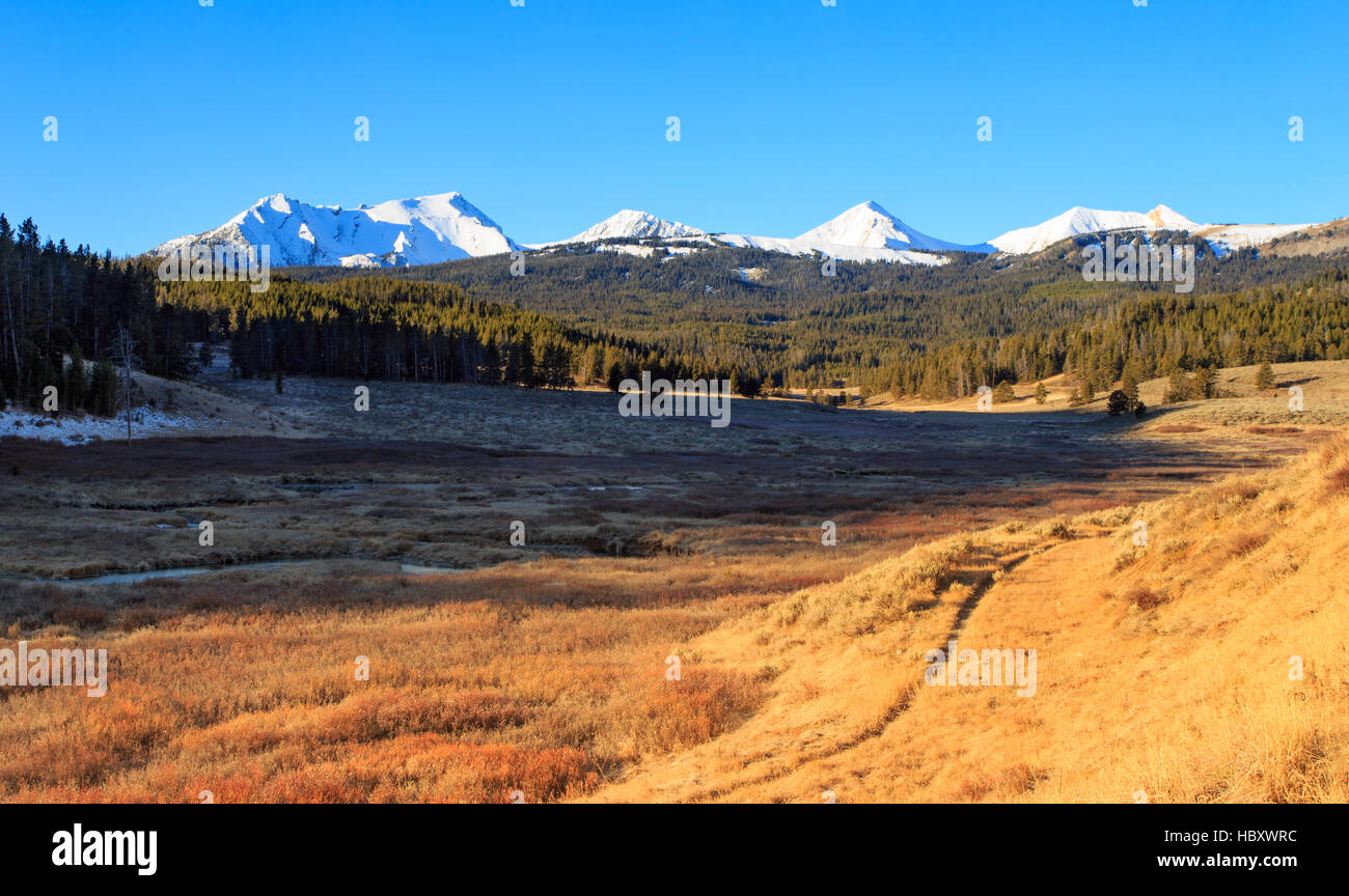Landscape with snow-capped mountains and a large valley of forest Stock ...