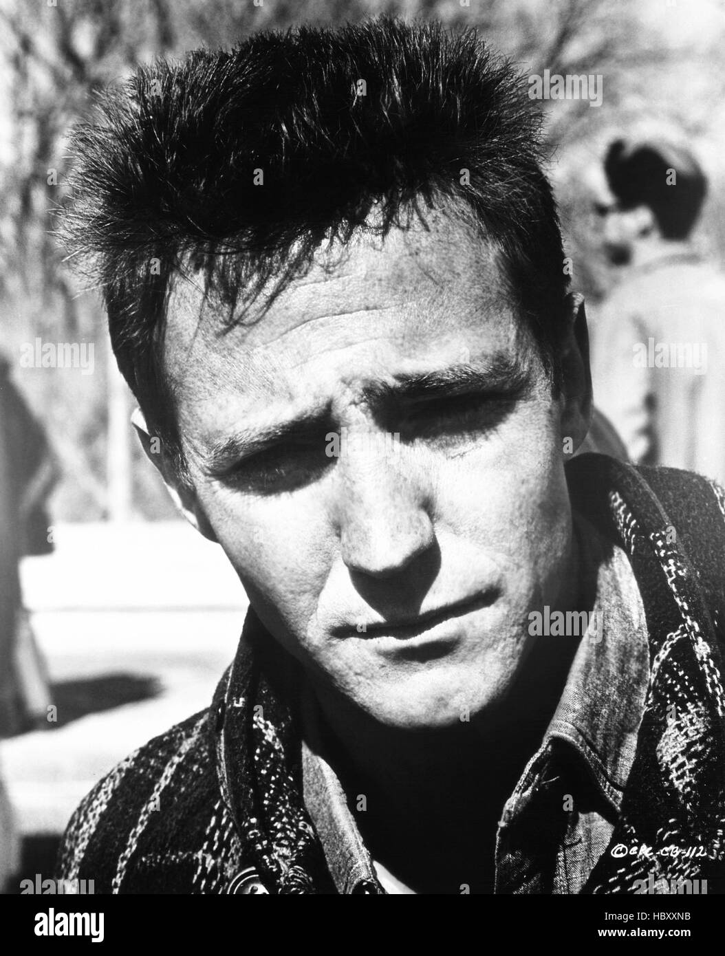 Scott Wilson 1967 The Walking Dead" Star Scott Wilson Dead At 76