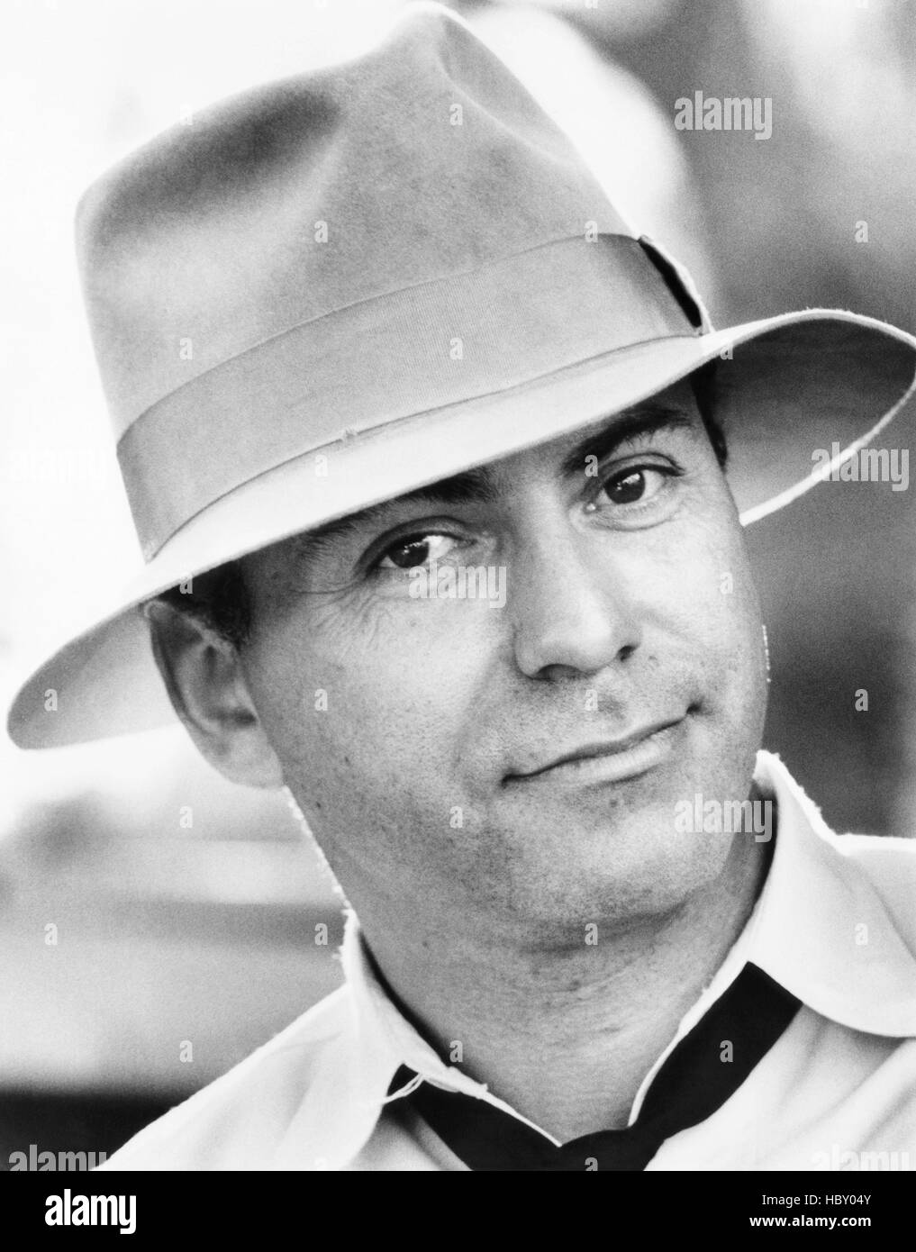 HEARTS OF THE WEST, Alan Arkin, 1975 Stock Photo - Alamy