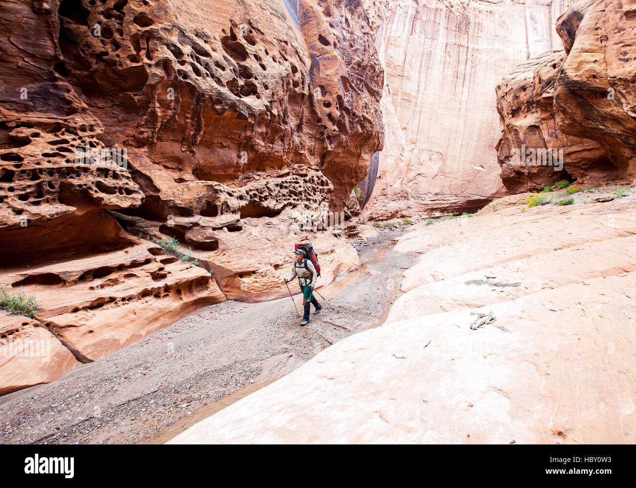 A young woman backpacking through Wolverine Canyon, Utah Stock Photo ...