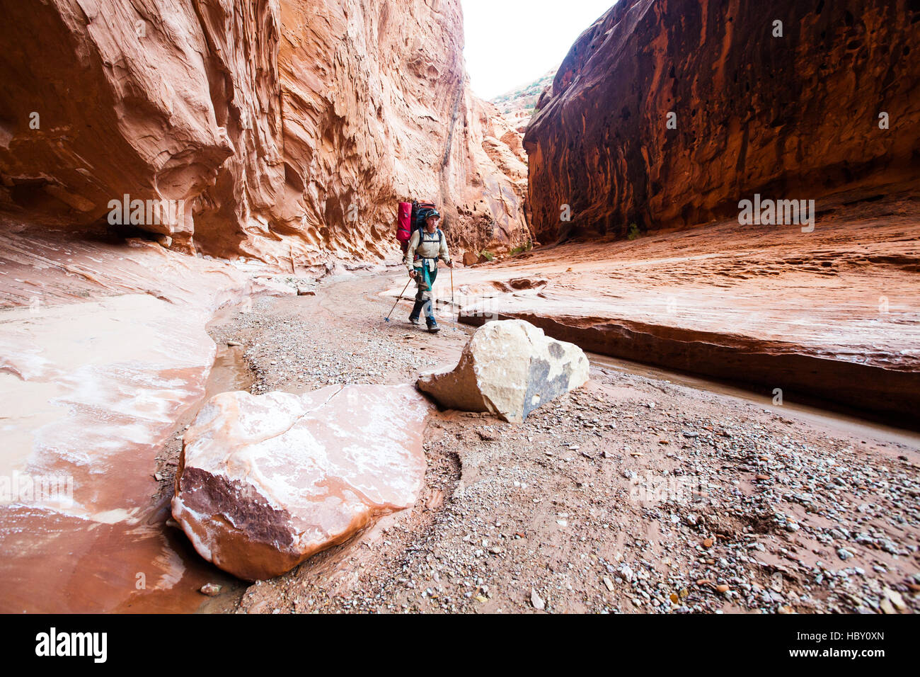 A young woman backpacking through Wolverine Canyon, Utah Stock Photo ...