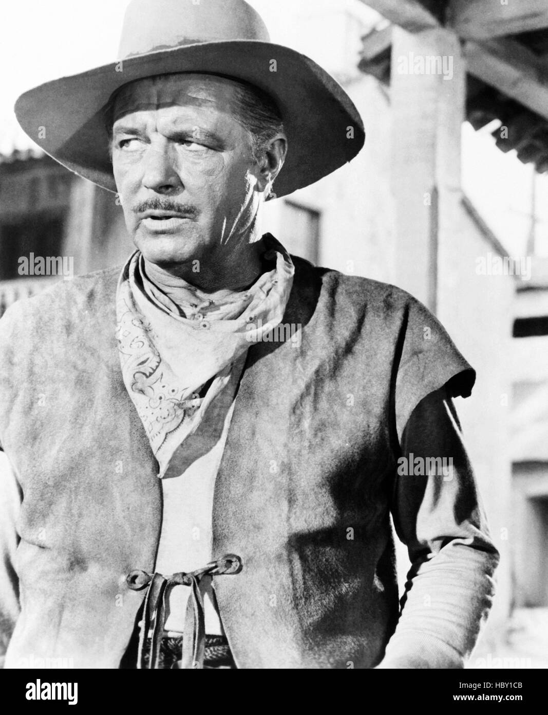 HOSTILE GUNS, James Craig, 1967 Stock Photo - Alamy