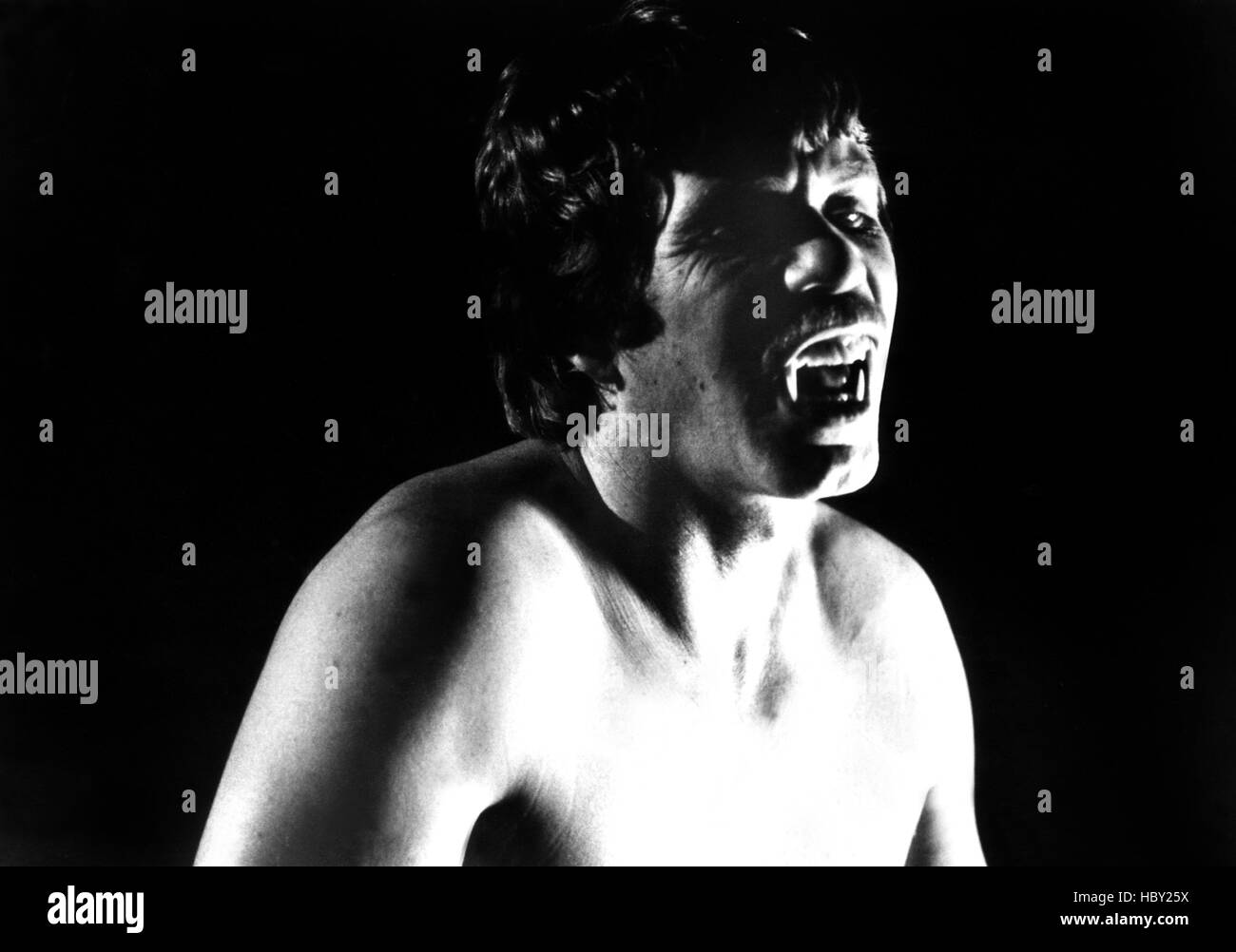 THE HOWLING, Christopher Stone, 1981, (c) Avco Embassy/courtesy Everett ...