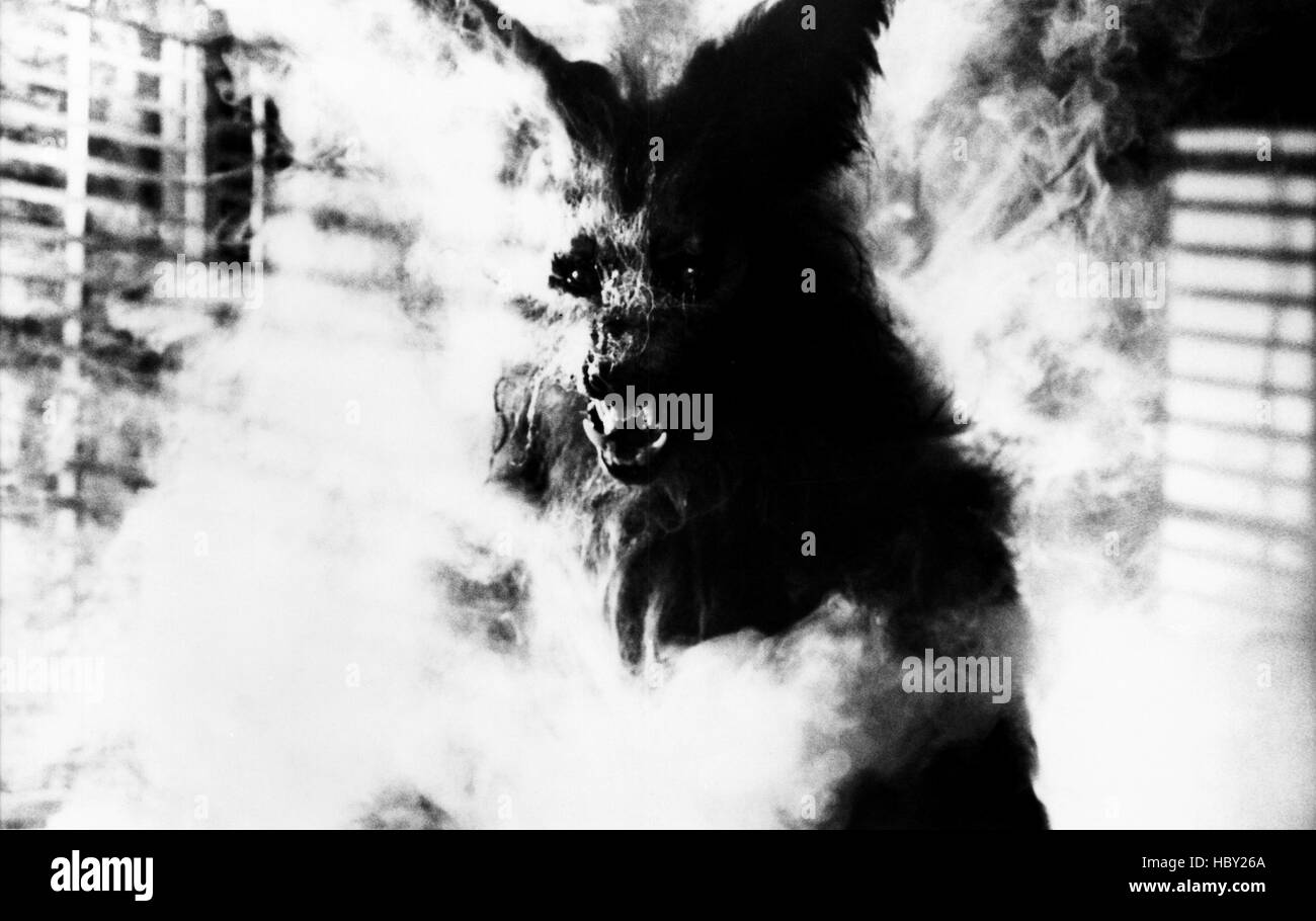 THE HOWLING, 1981, © Avco Embassy/courtesy Everett Collection Stock ...