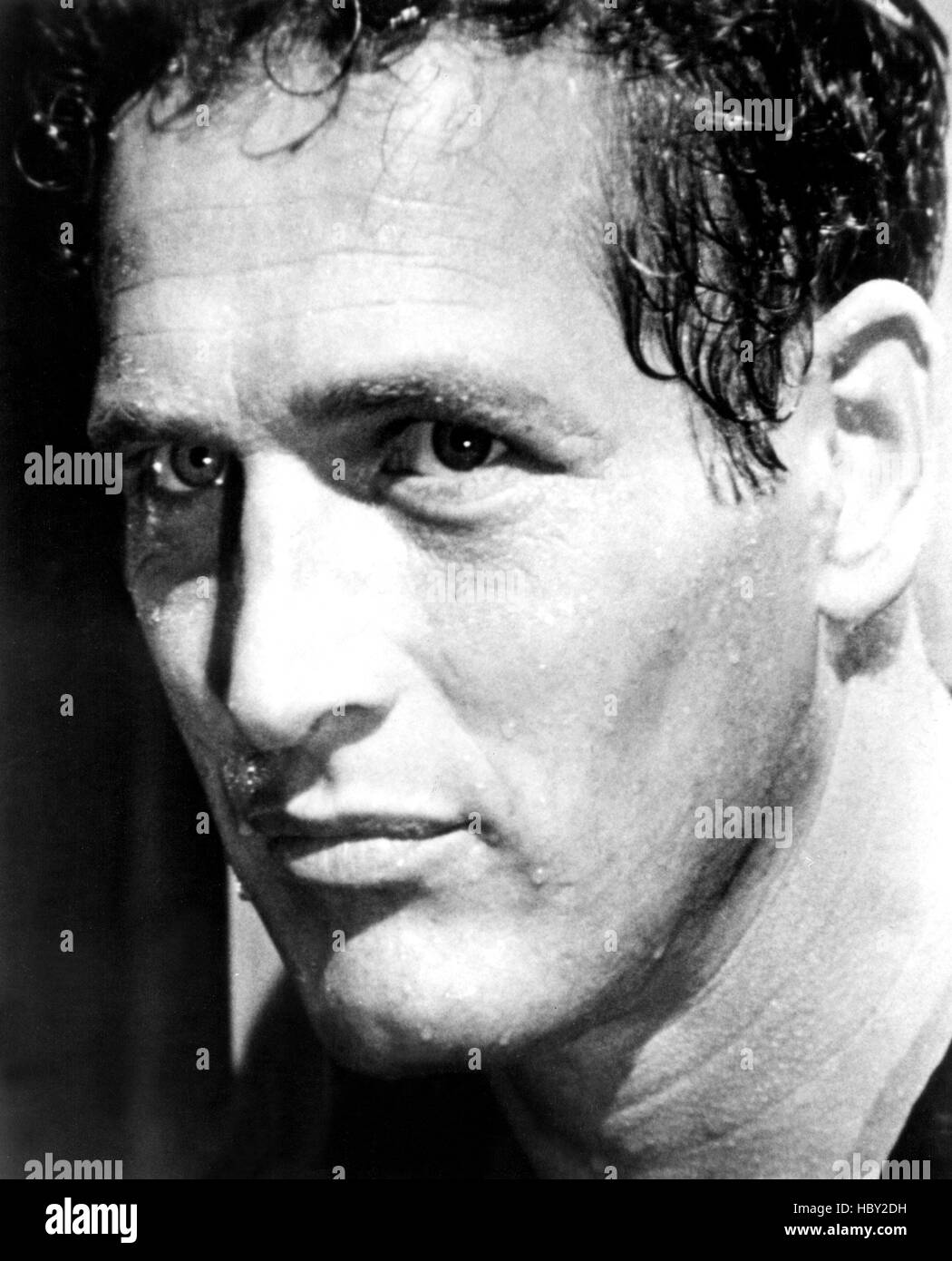HUD, Paul Newman, 1963 Stock Photo - Alamy