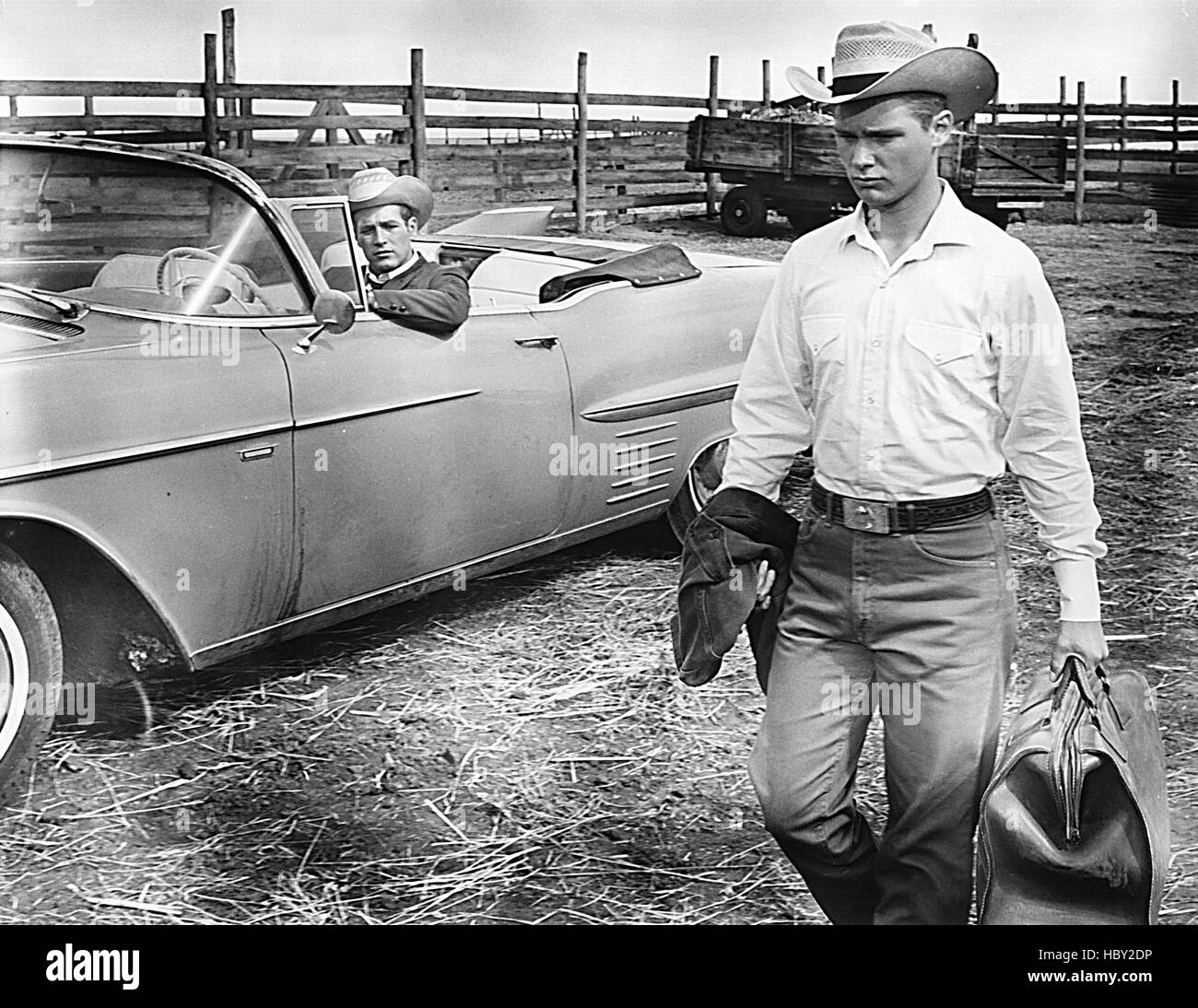 HUD, Paul Newman, Brandon DeWilde, 1963 Stock Photo - Alamy