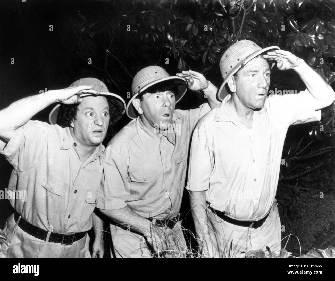 HULA-LA-LA, from left: Larry Fine, Moe Howard, Shemp Howard, [The Three ...