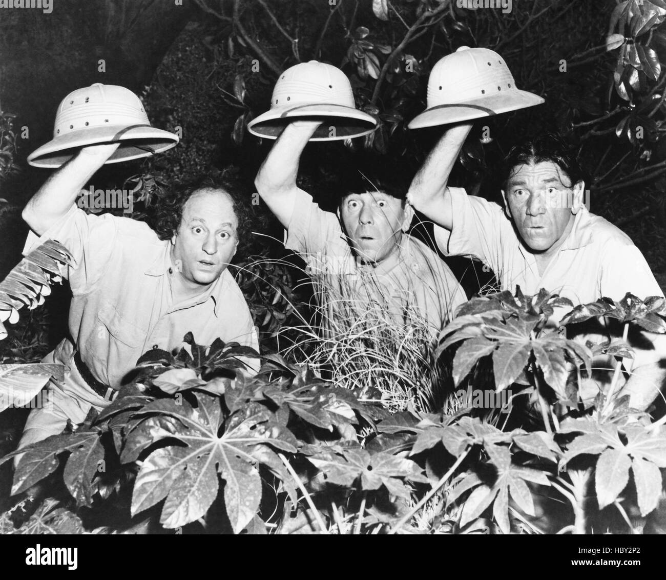 HULA-LA-LA, from left: Larry Fine, Moe Howard, Shemp Howard, 1951 Stock ...