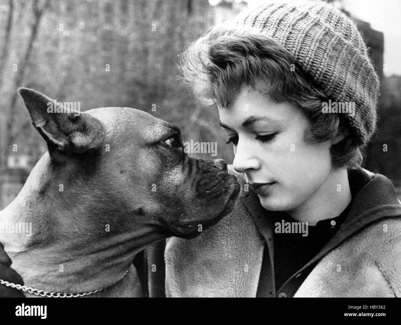 THE HUSTLER, Piper Laurie, 1961, TM & Copyright (c) 20th Century Fox ...