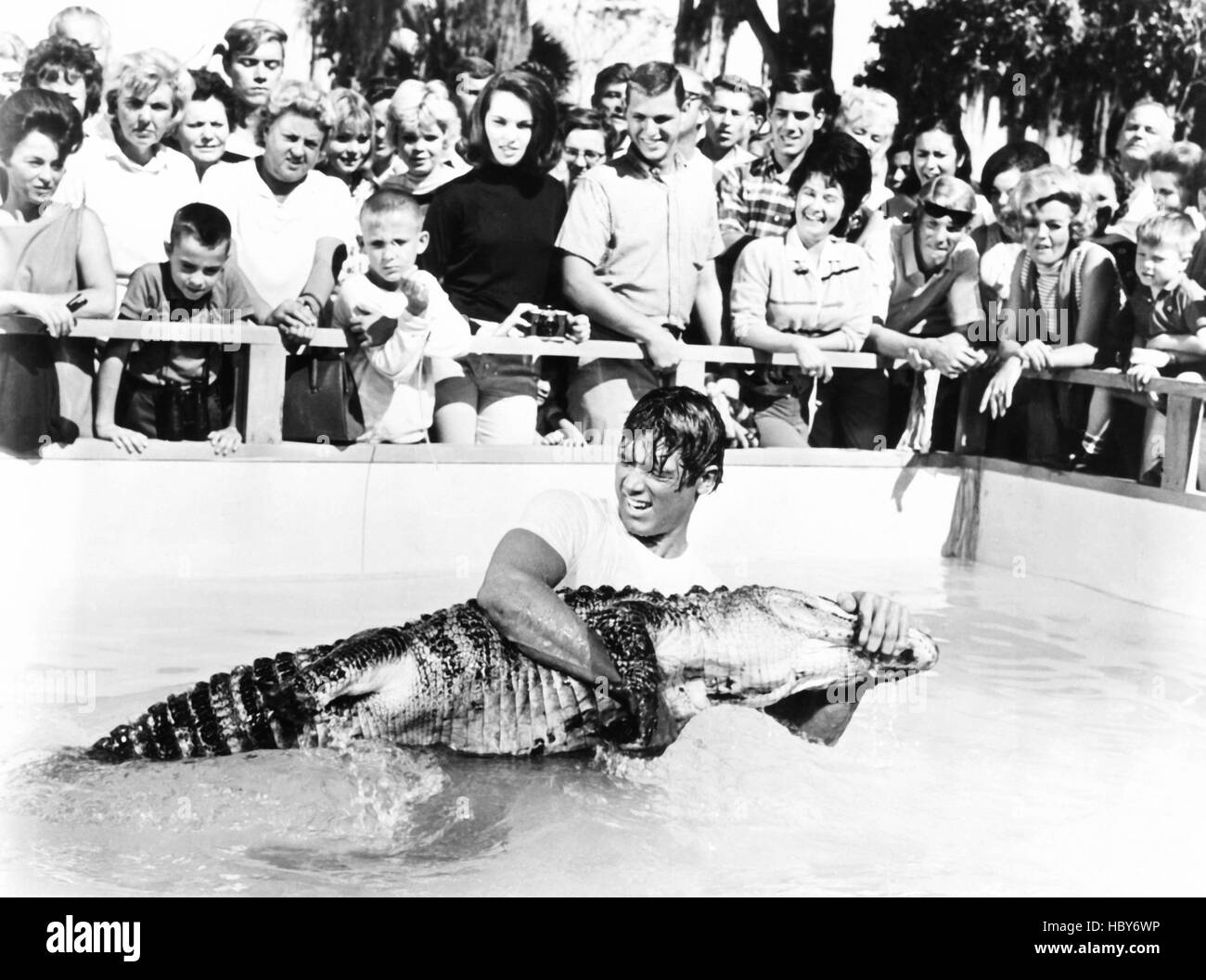 JOHNNY TIGER, Chad Everett, 1966 Stock Photo - Alamy