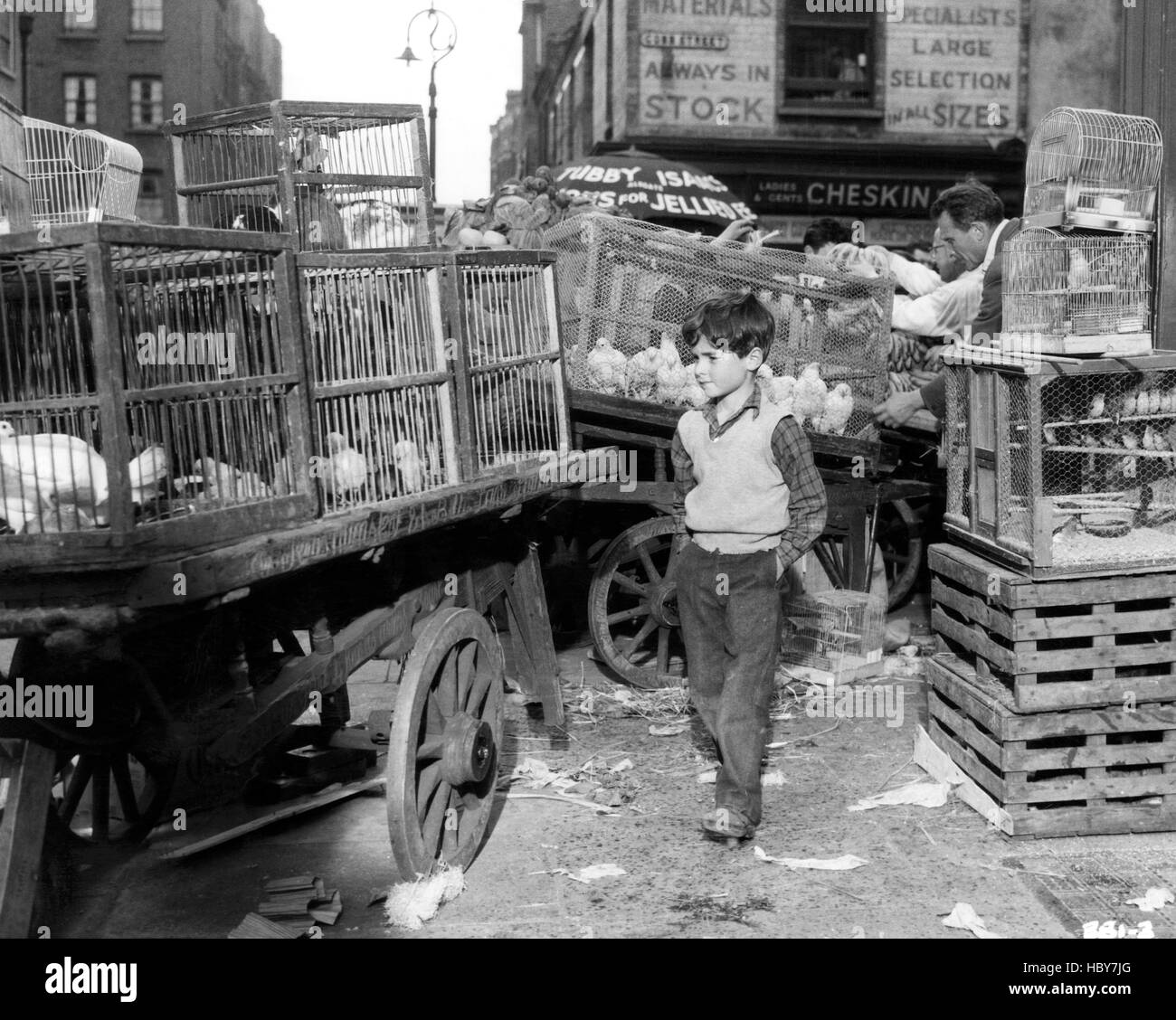 A KID FOR TWO FARTHINGS, Jonathan Ashmore, 1955 Stock Photo - Alamy