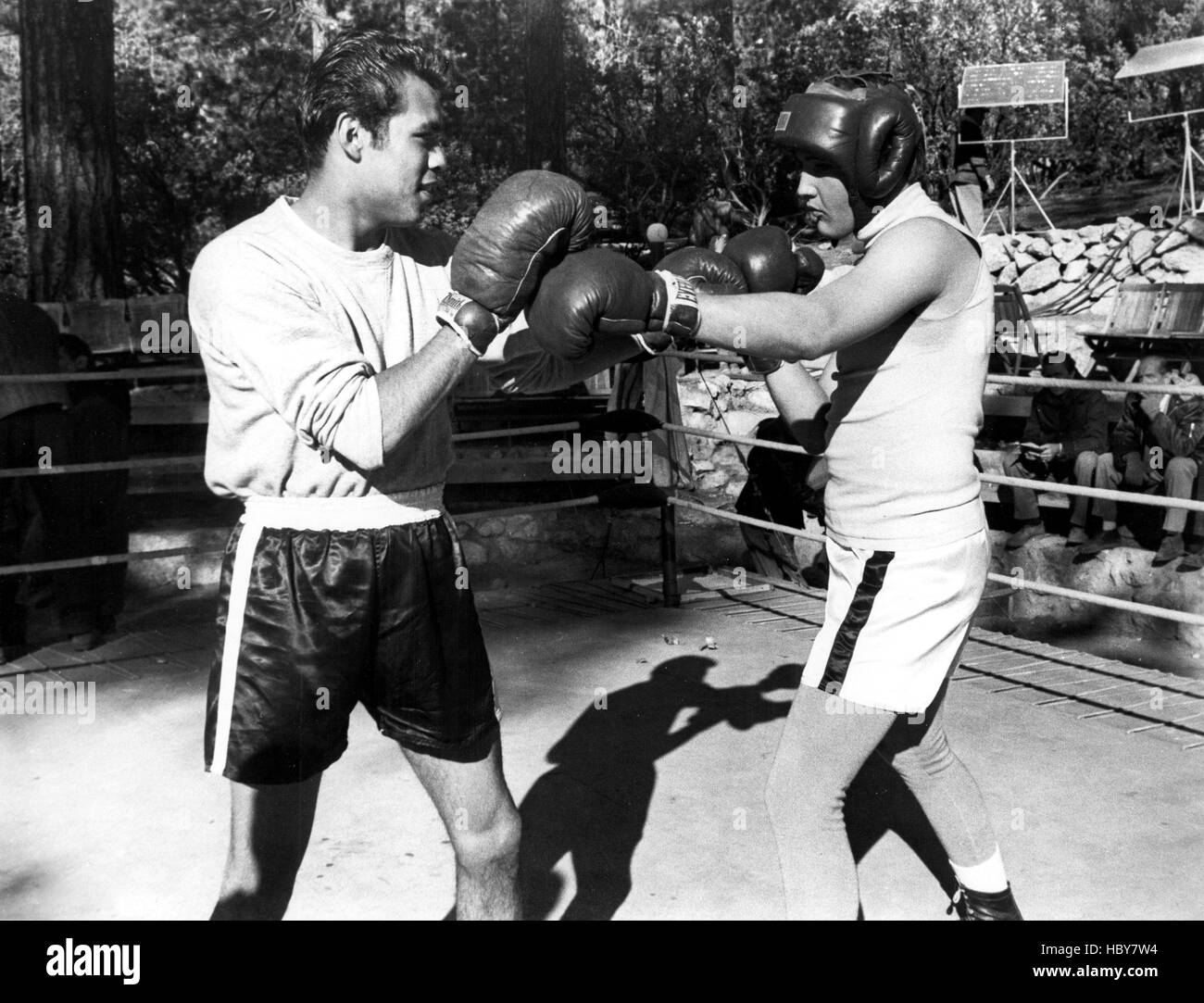 KID GALAHAD, Elvis Presley, 1962 Stock Photo - Alamy