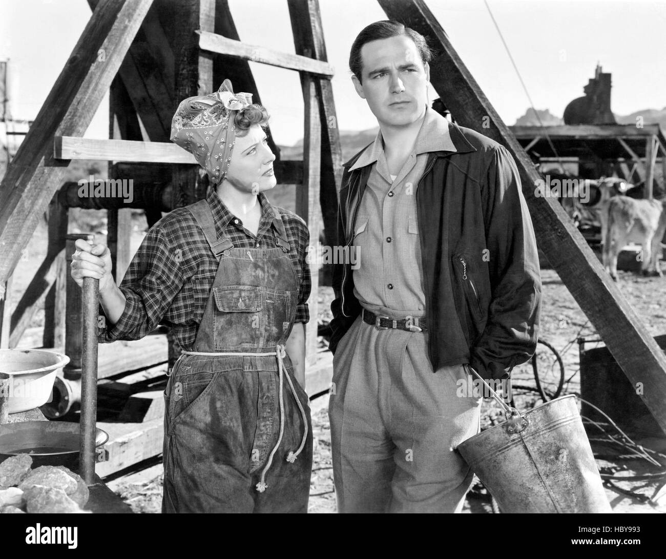 LADY IN A JAM, from left: Irene Dunne, Patric Knowles, 1942 Stock Photo ...