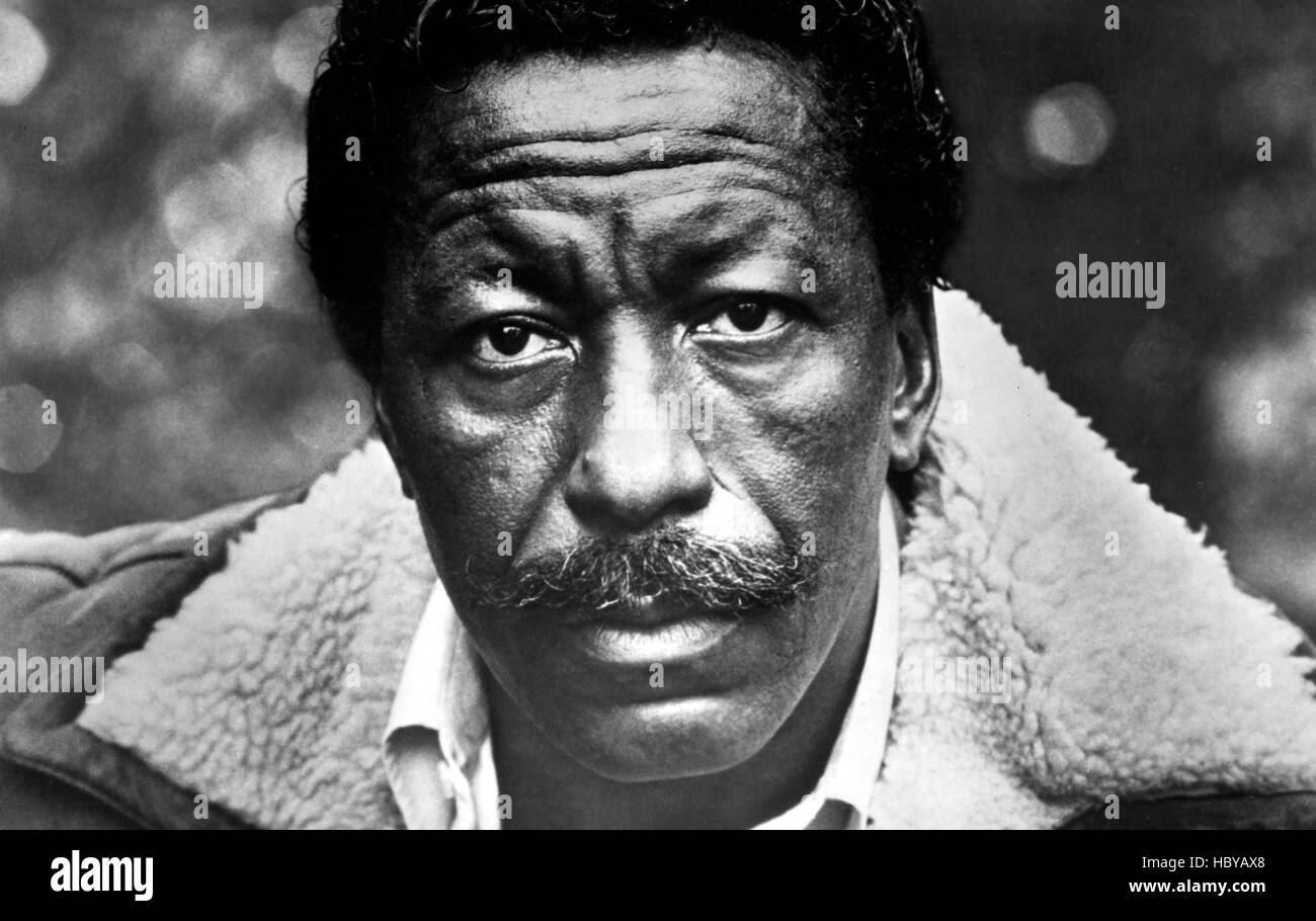 THE LEARNING TREE, director, producer and writer Gordon Parks, 1969 ...