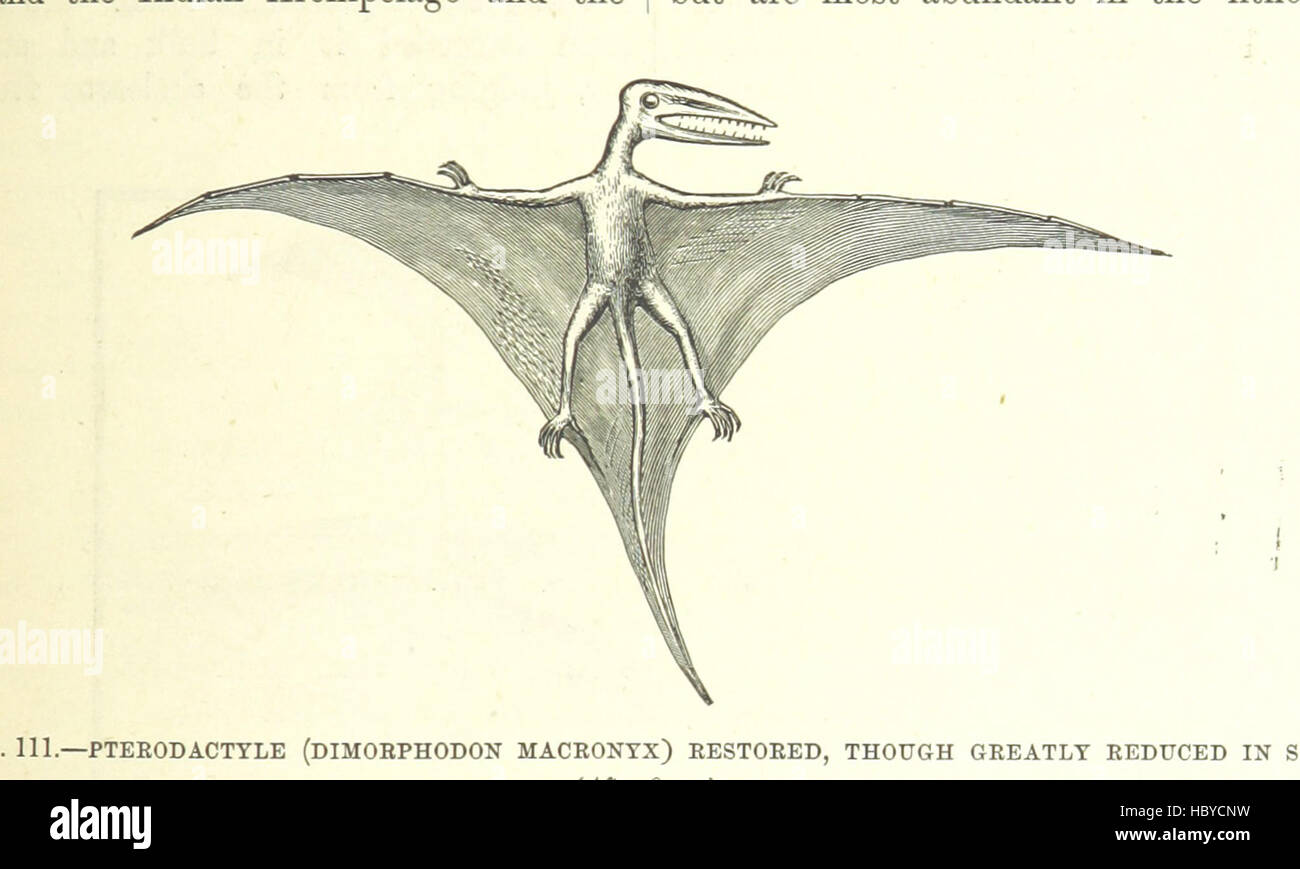A scanned page from a physical geography volume, presenting printed ...
